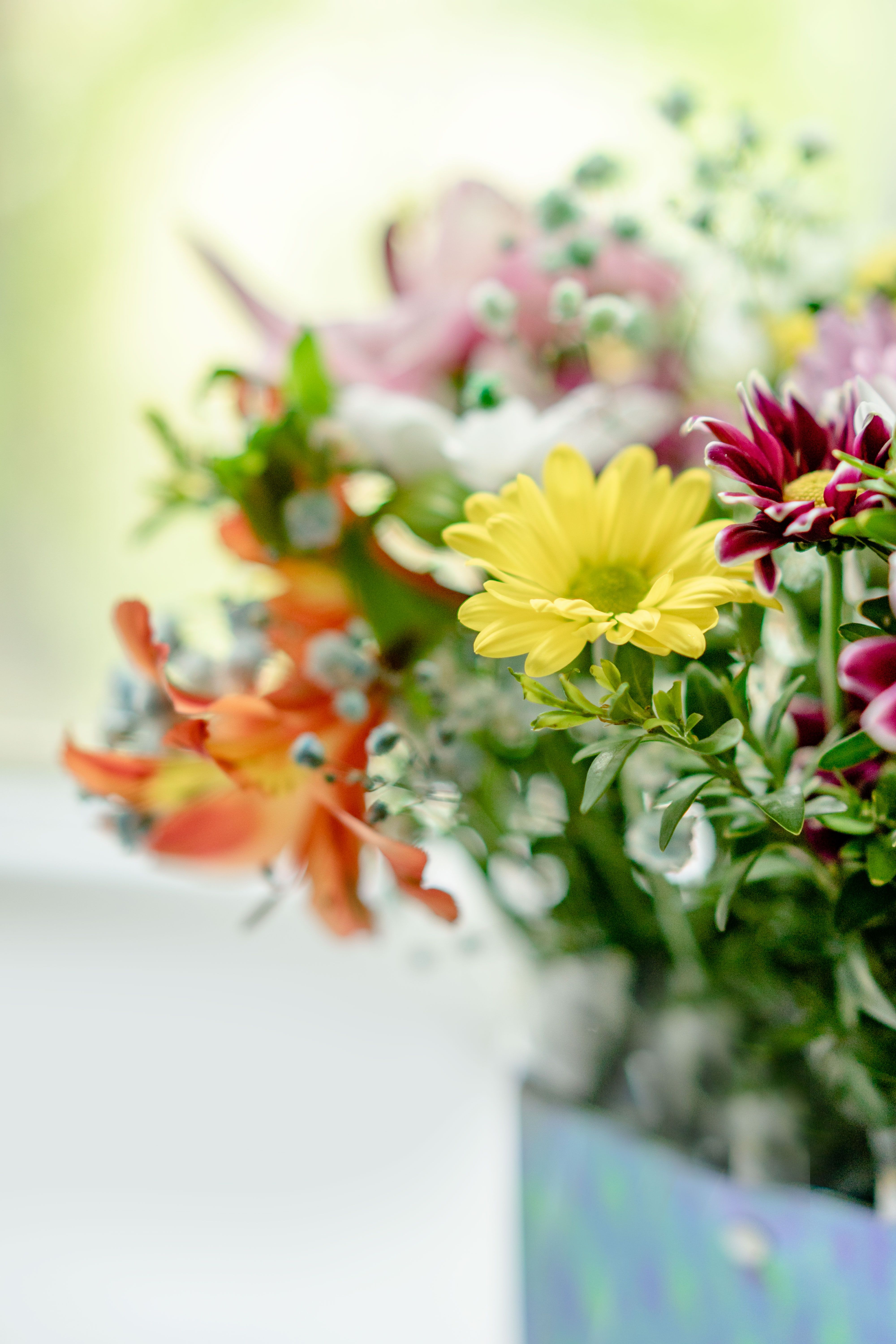 Florist tying ribbon on bouquet of roses · Free Stock Photo