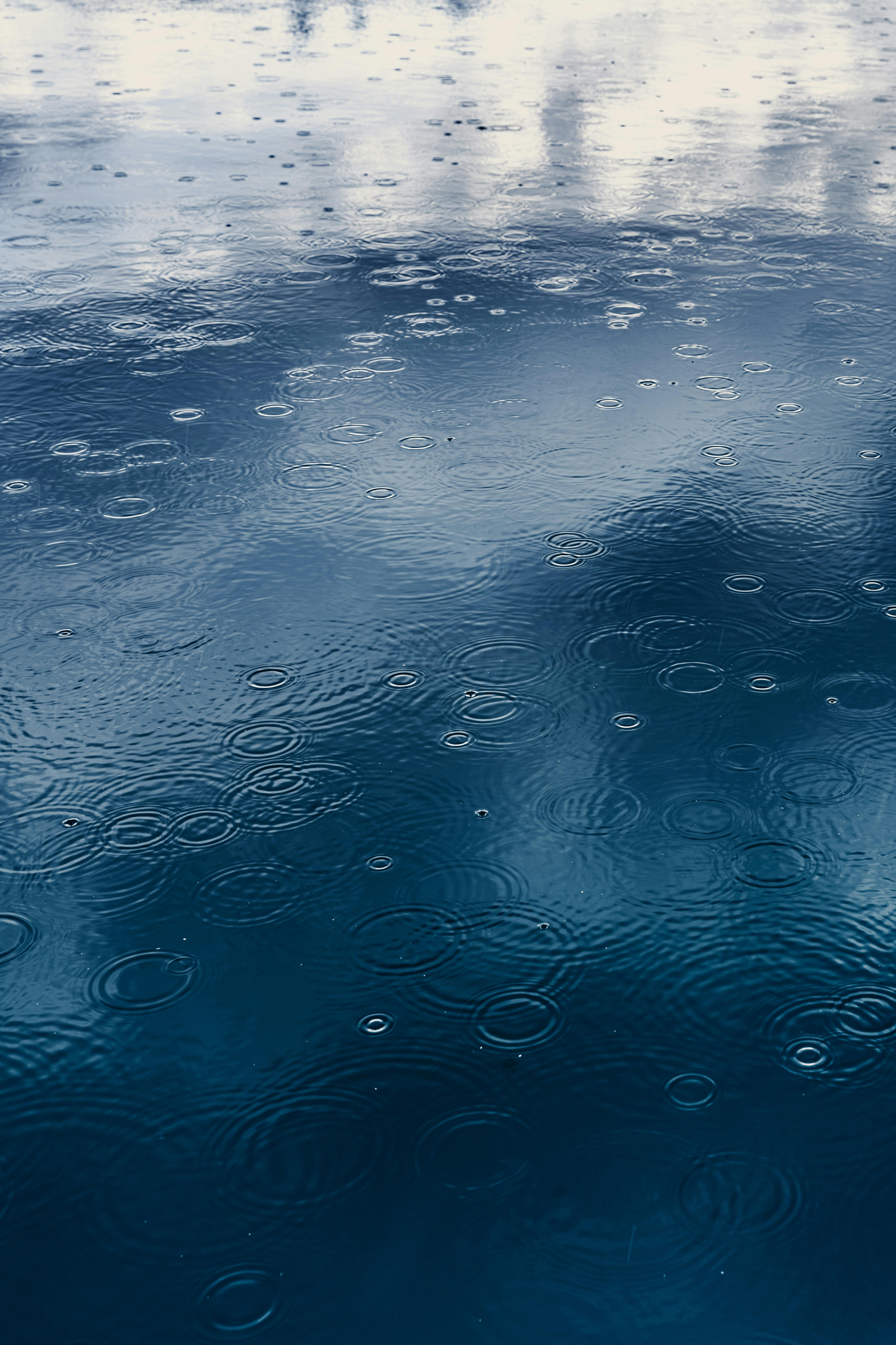 Raindrops Hitting Water Surface · Free Stock Photo