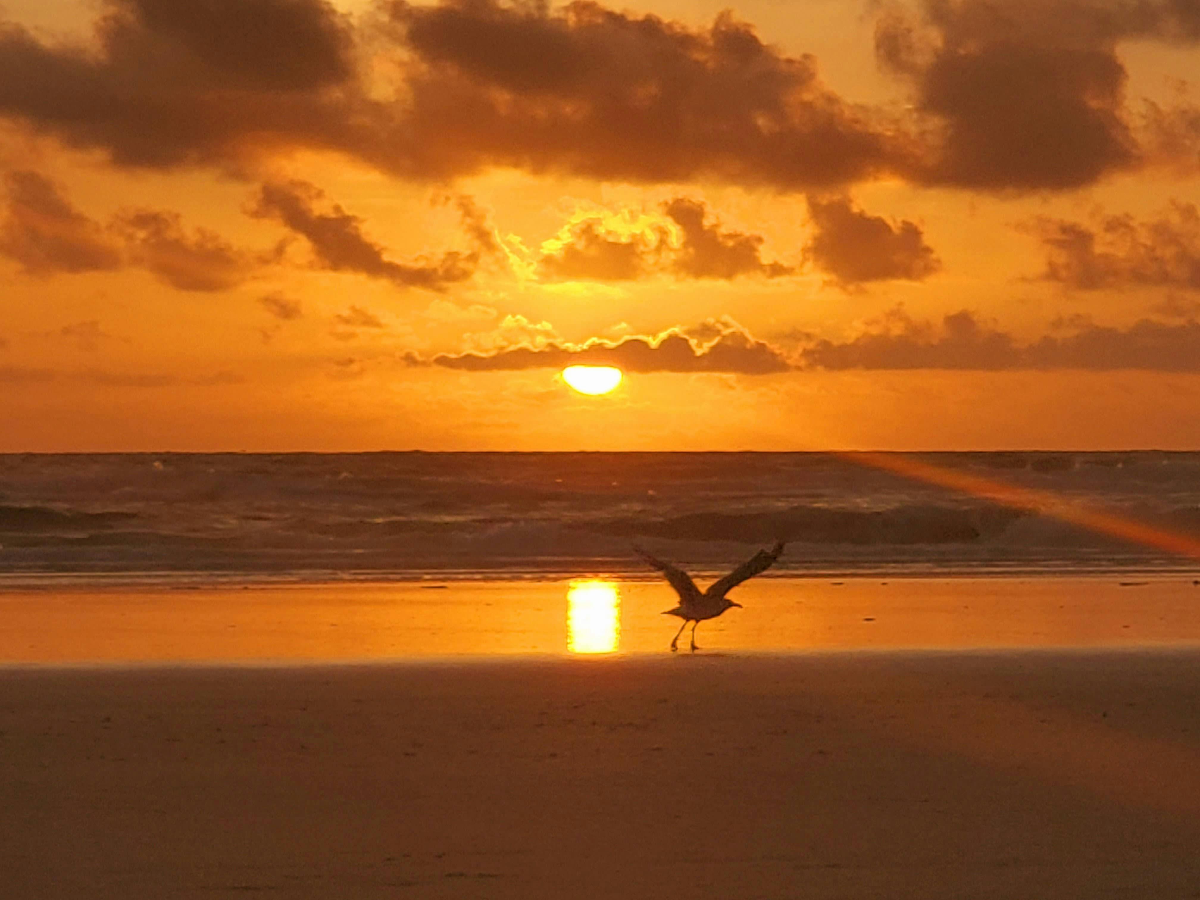 Katie Farrell - 写真