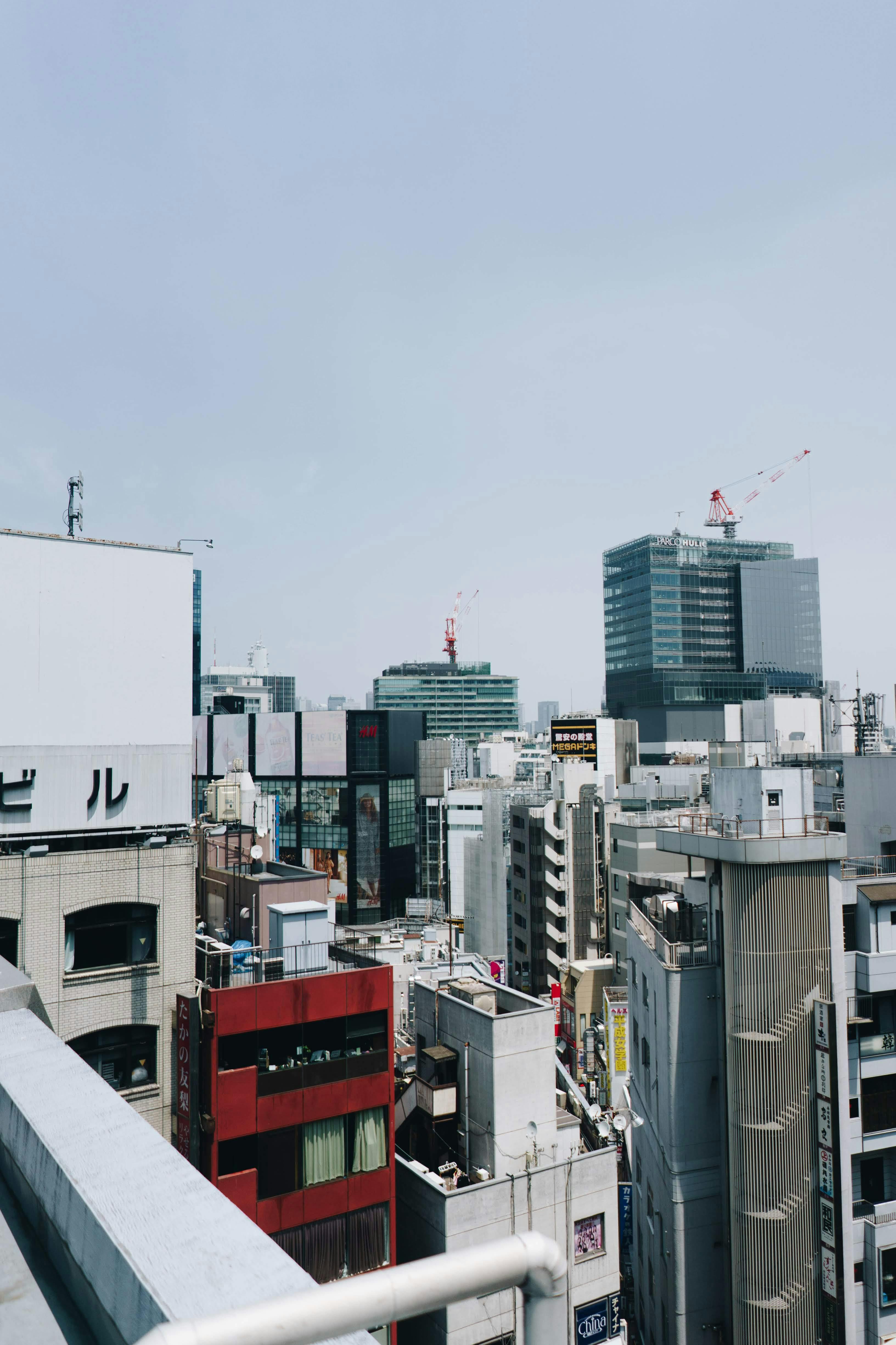 Matthew Padilla - 사진