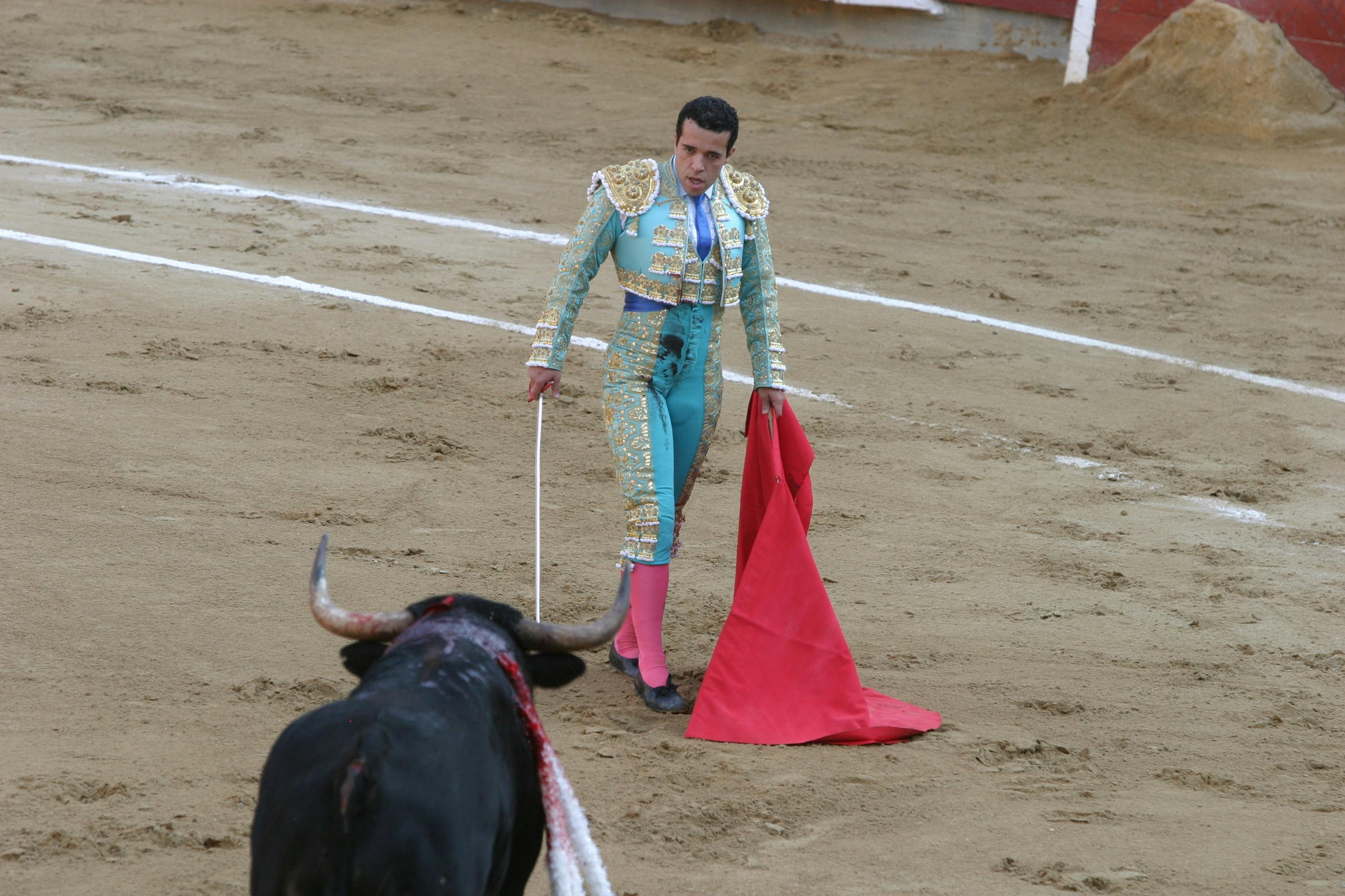 Free stock photo of matador