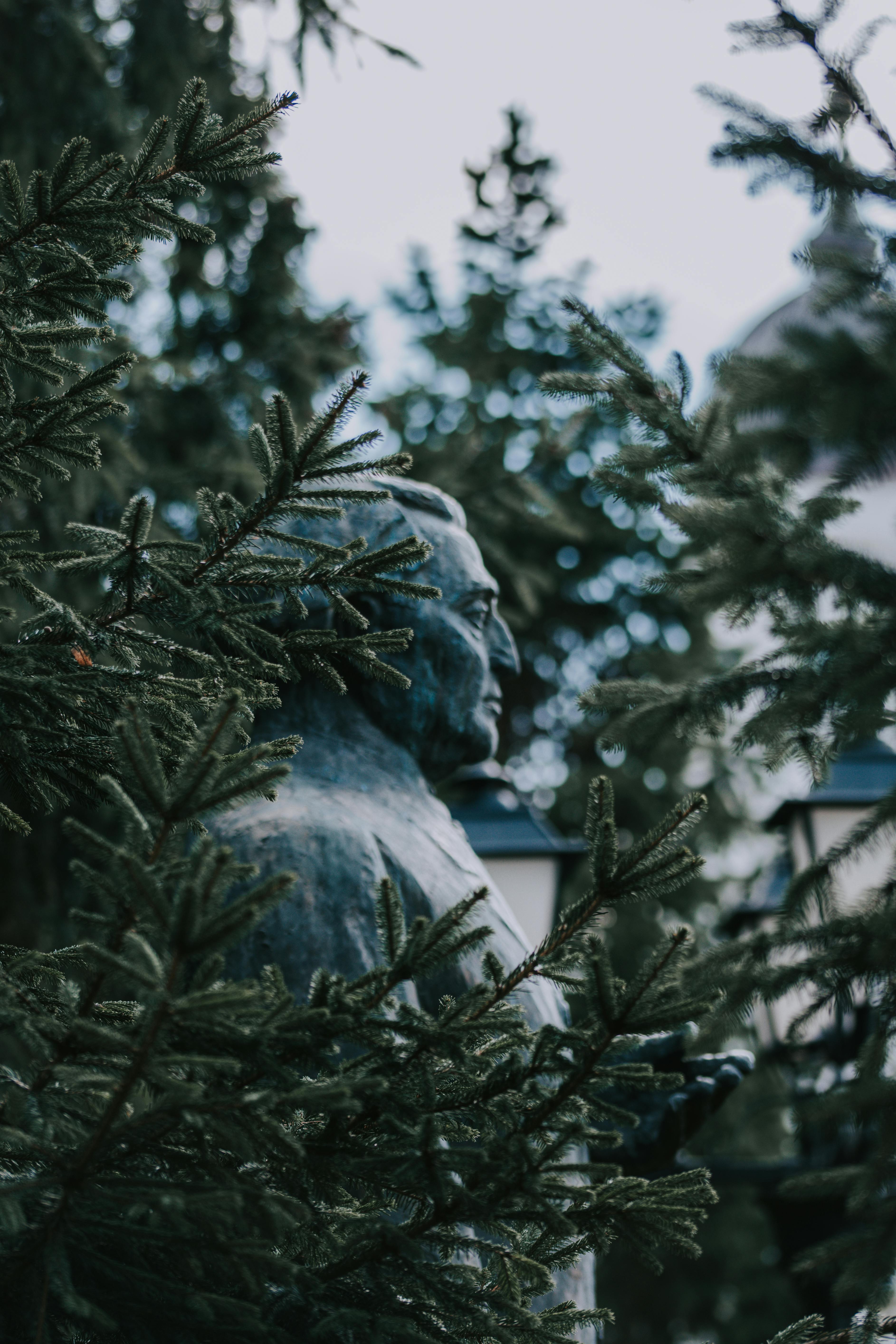 A Yellow Woman Statue with Eyes Closed · Free Stock Photo