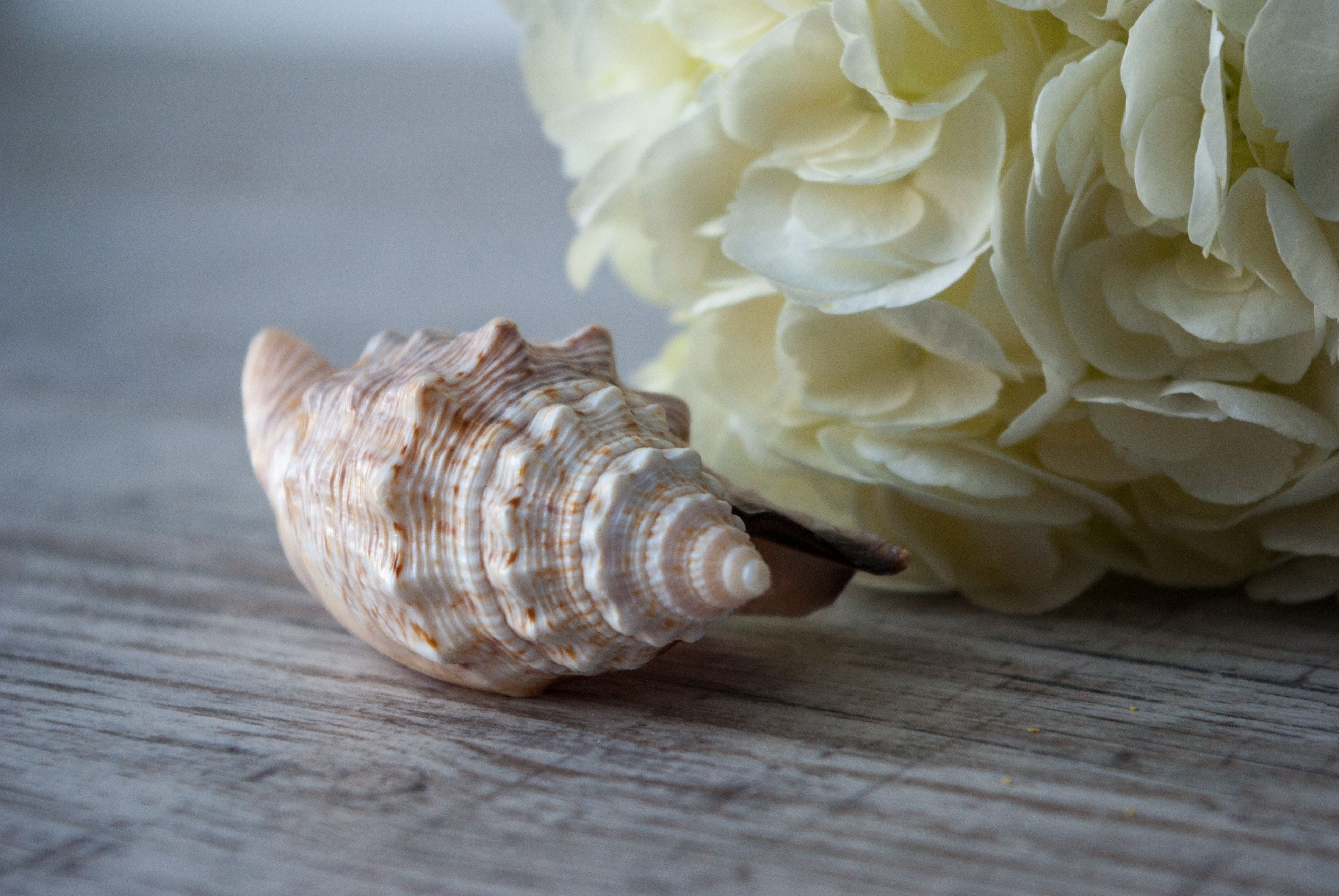 A Close-up Shot of a Woven Mat · Free Stock Photo