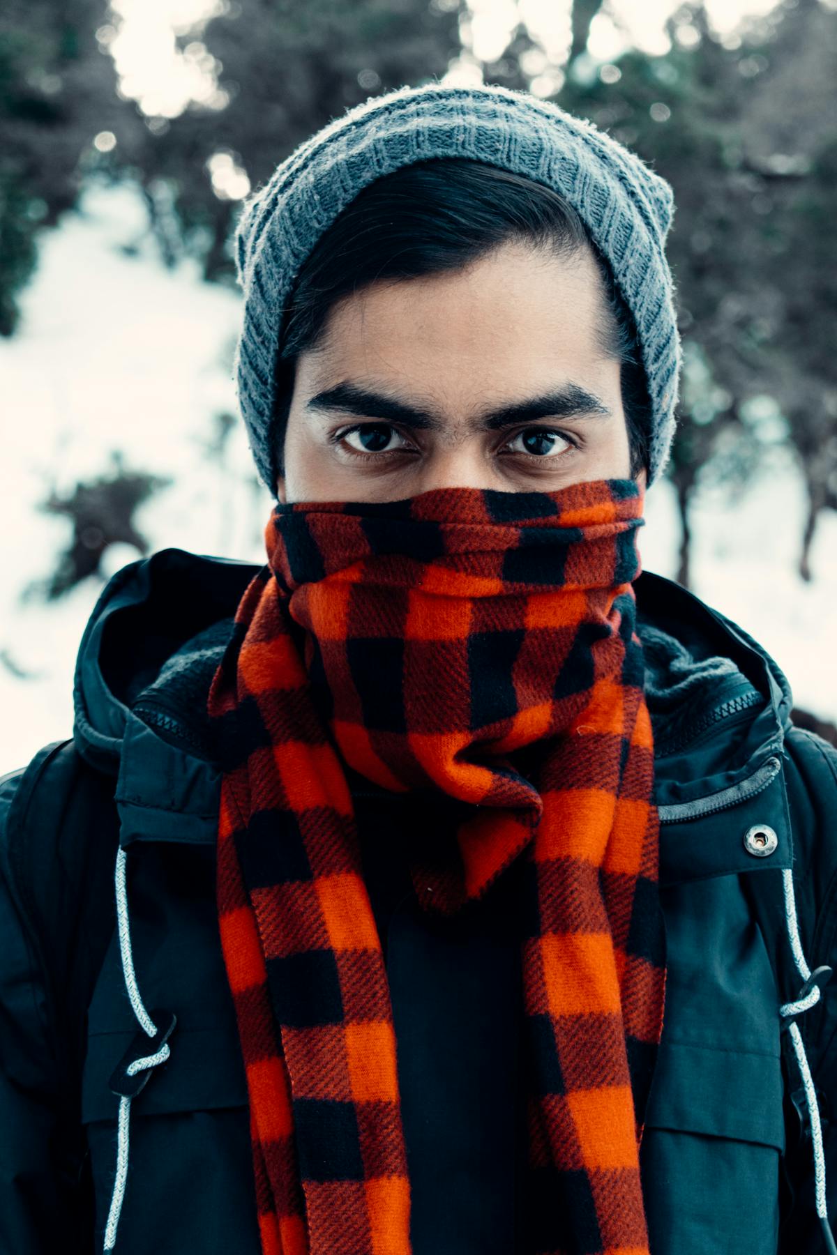 Indian Pahadi Photos, Download The BEST Free Indian Pahadi Stock Photos ...