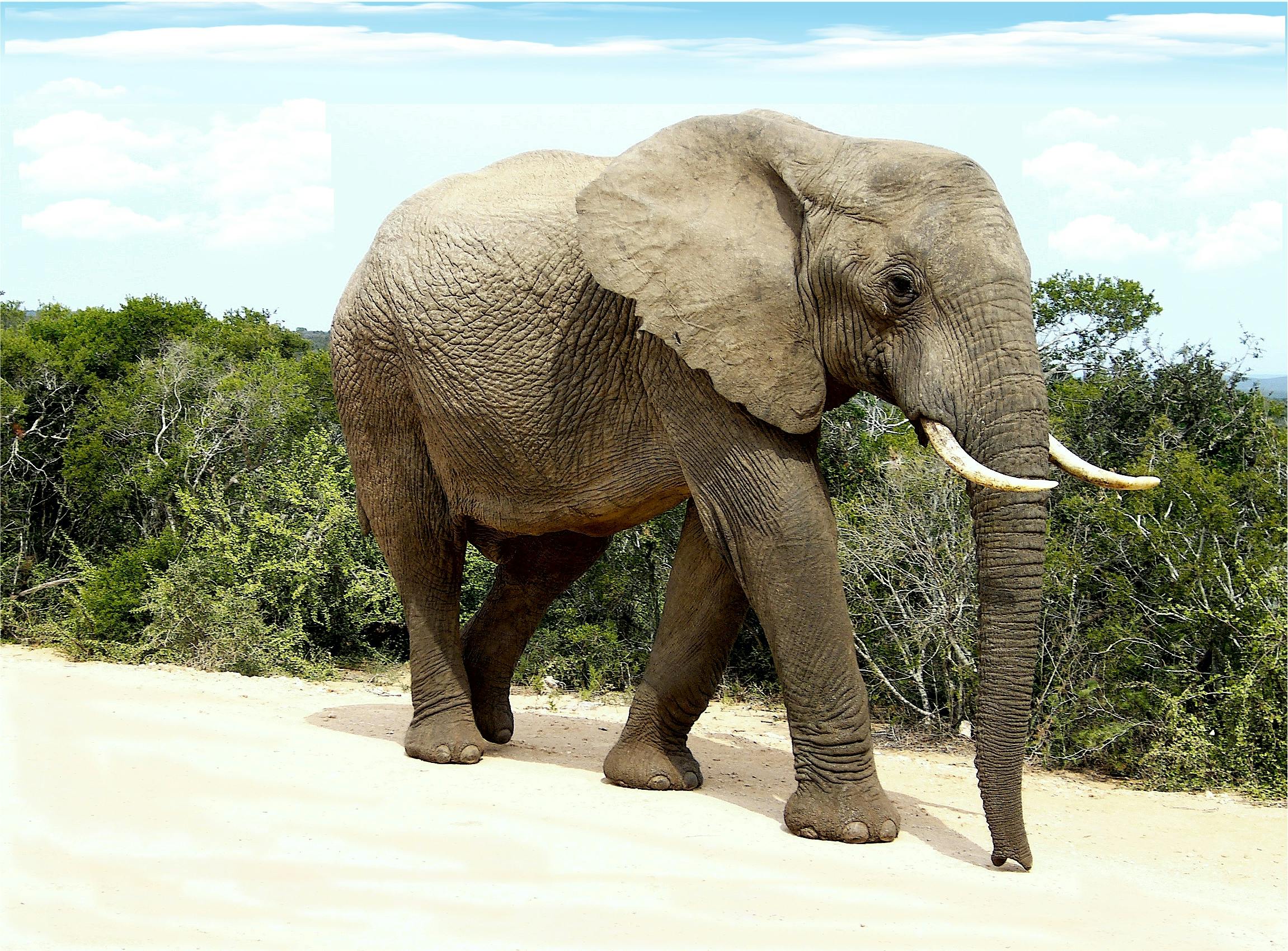 Photo gratuite de doigt de dieu, effondrement avant 1988, mukurob