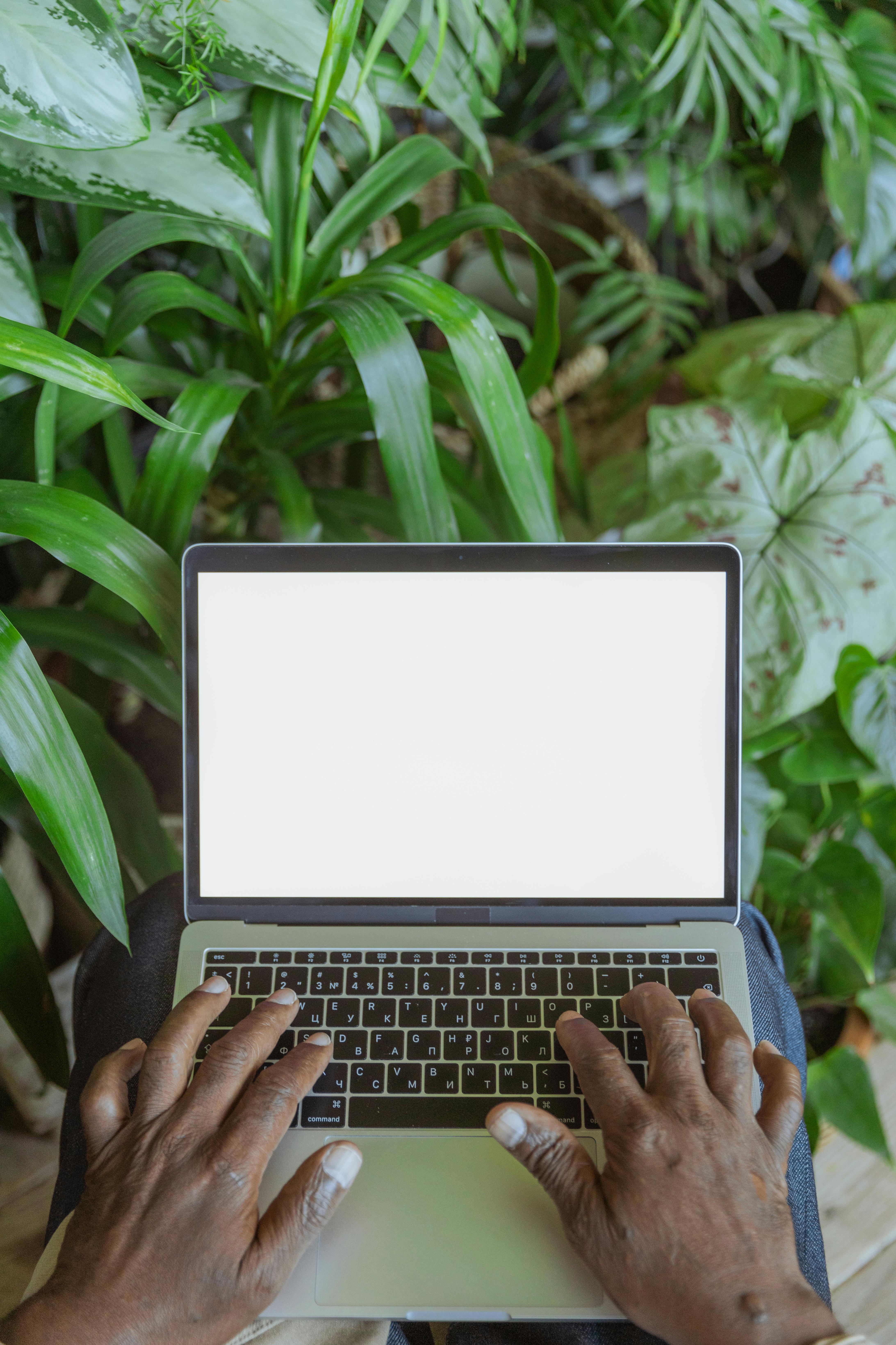 Laptop In Garden Full Screen Photos, Download The BEST Free Laptop In ...