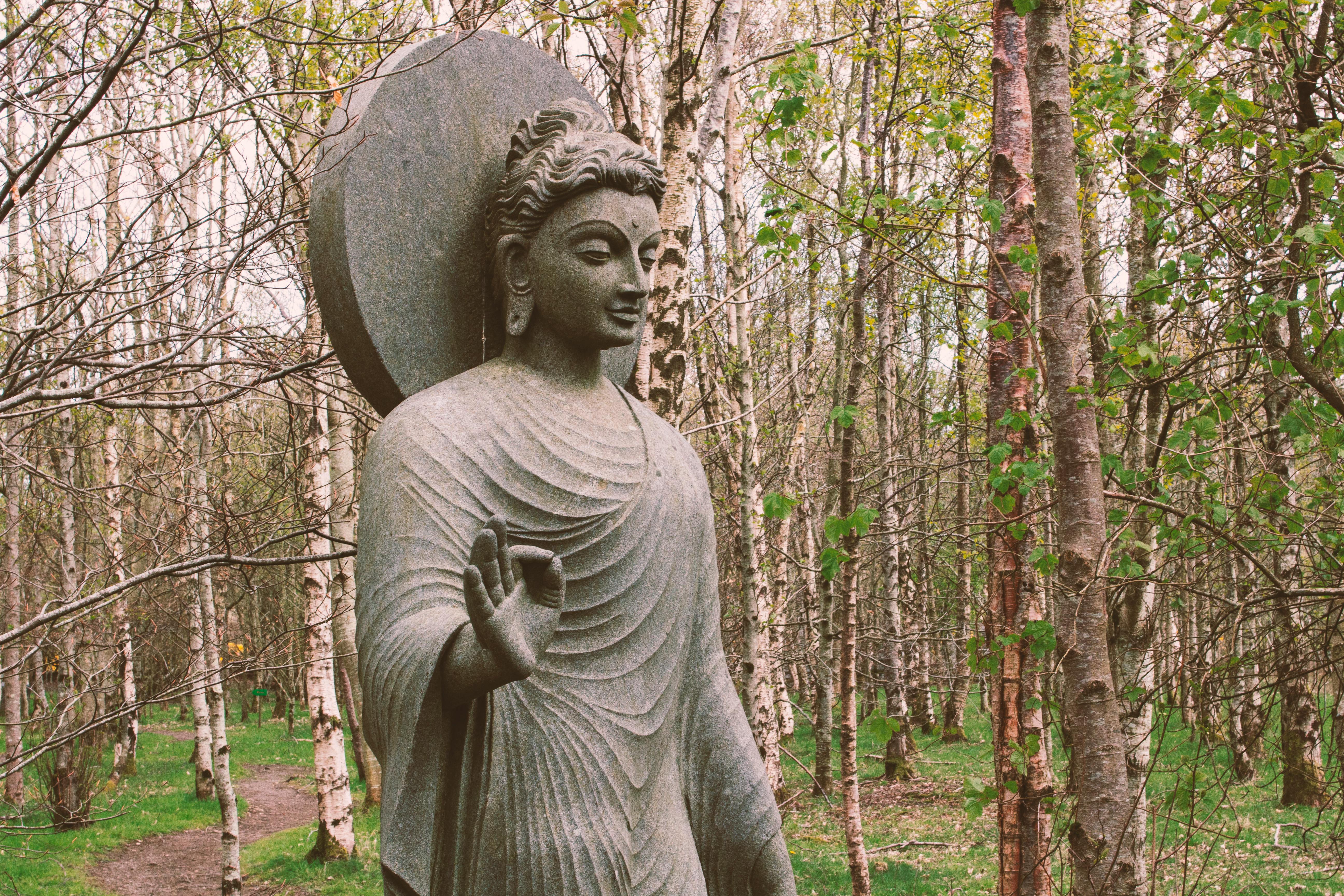 Stone Statue of Hindu Goddess in Forest · Free Stock Photo