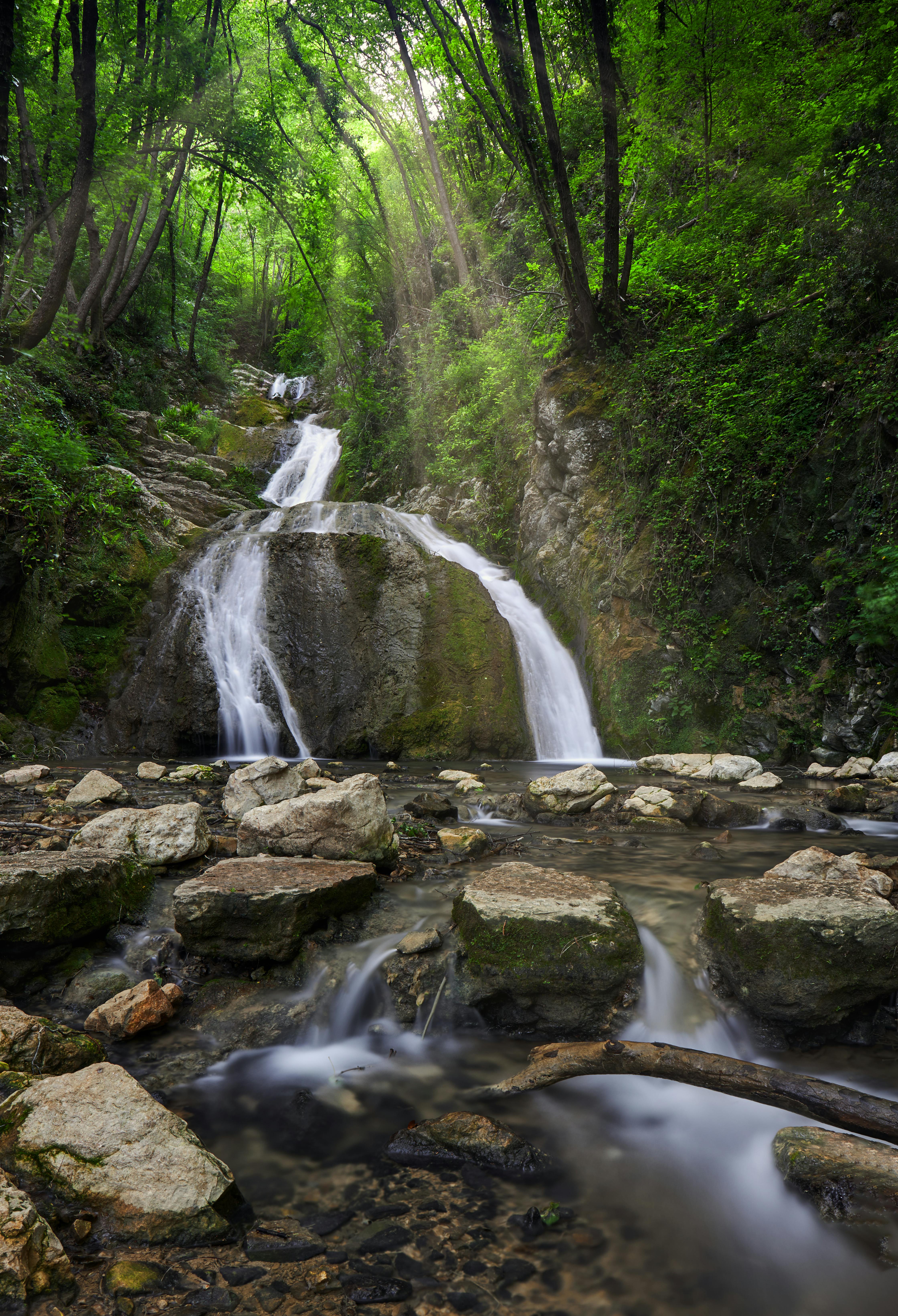 Photo of Falls Surrounded With Green Trees · Free Stock Photo