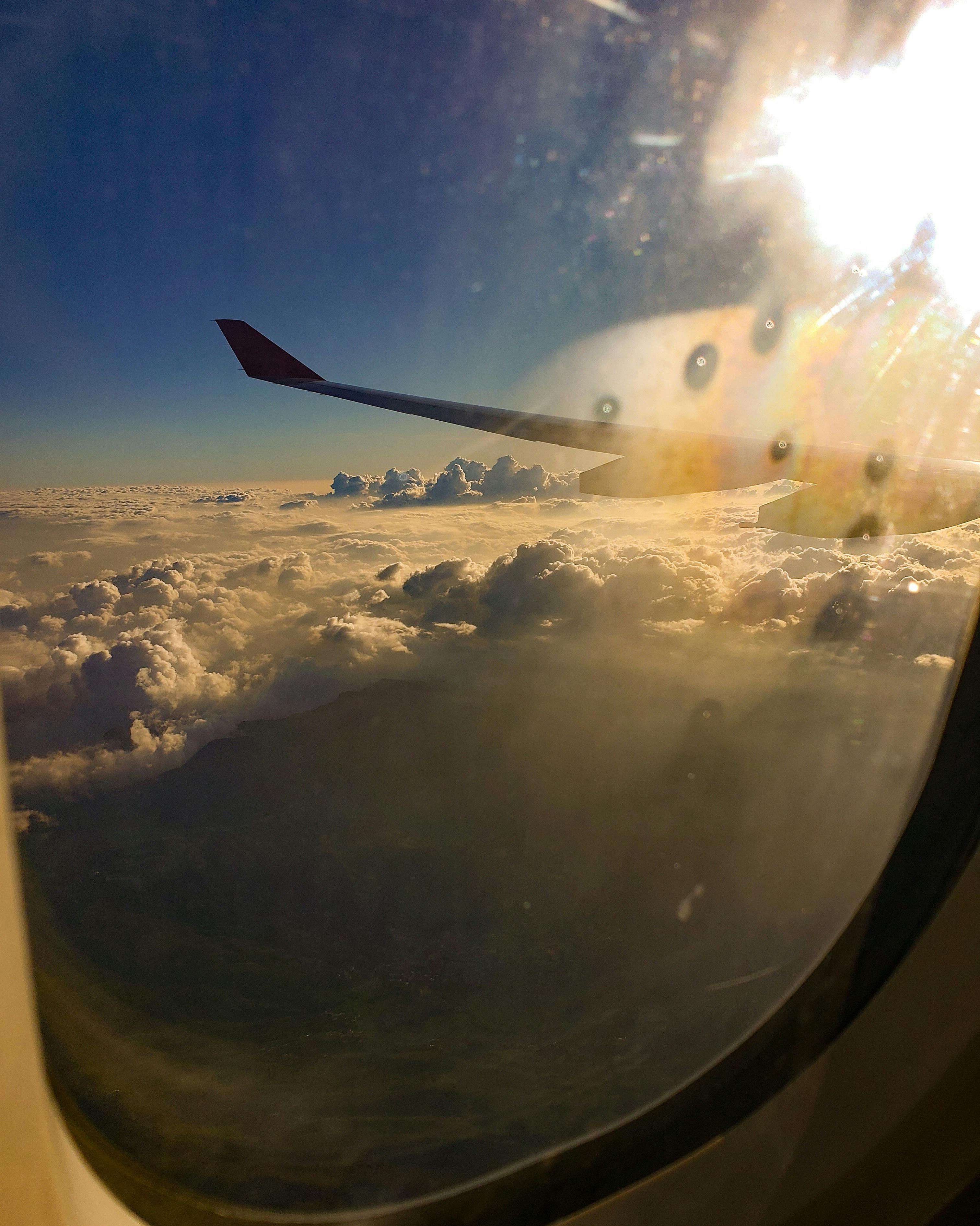 Waleed Khalid - 写真