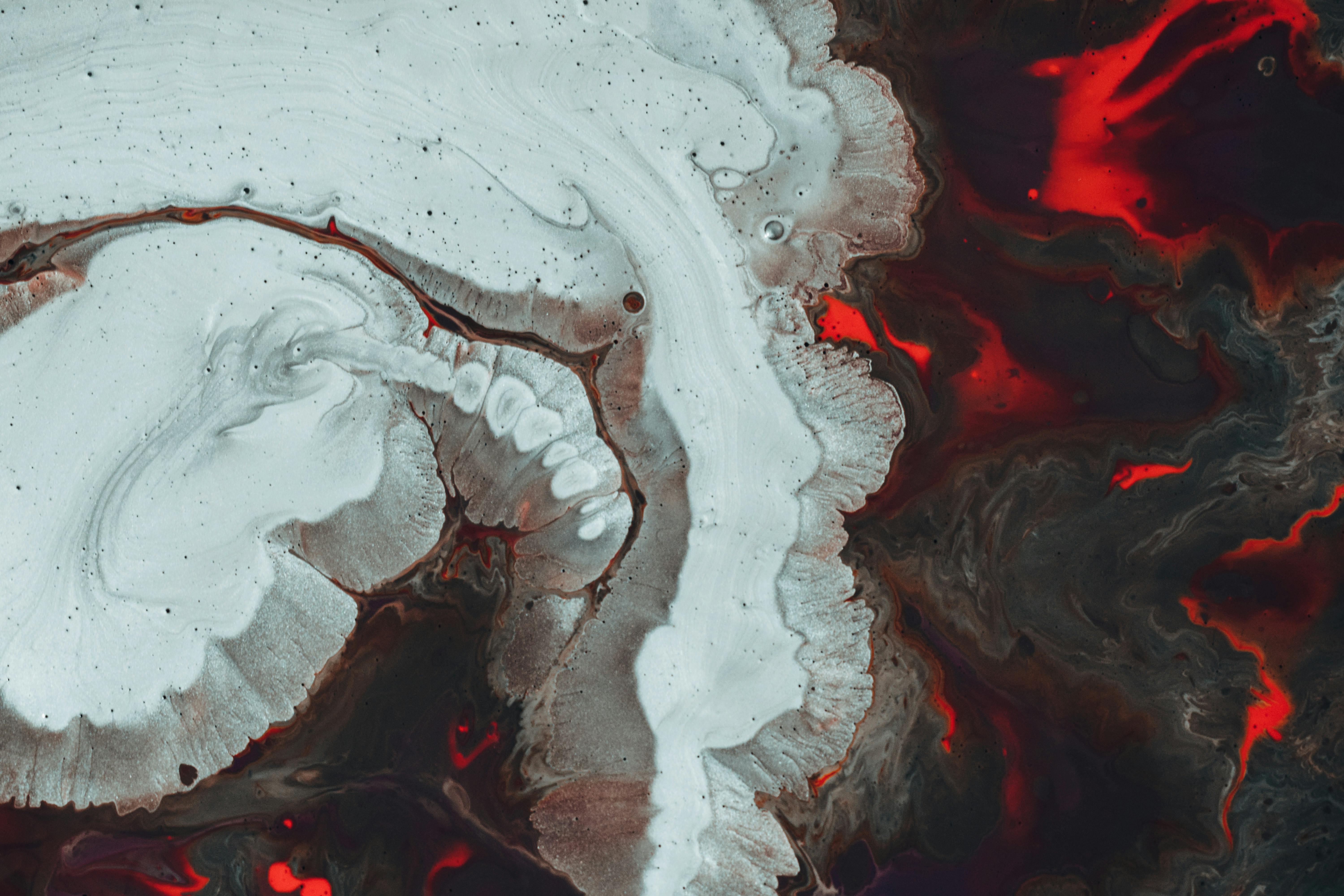 Red and White Abstract Artwork · Free Stock Photo