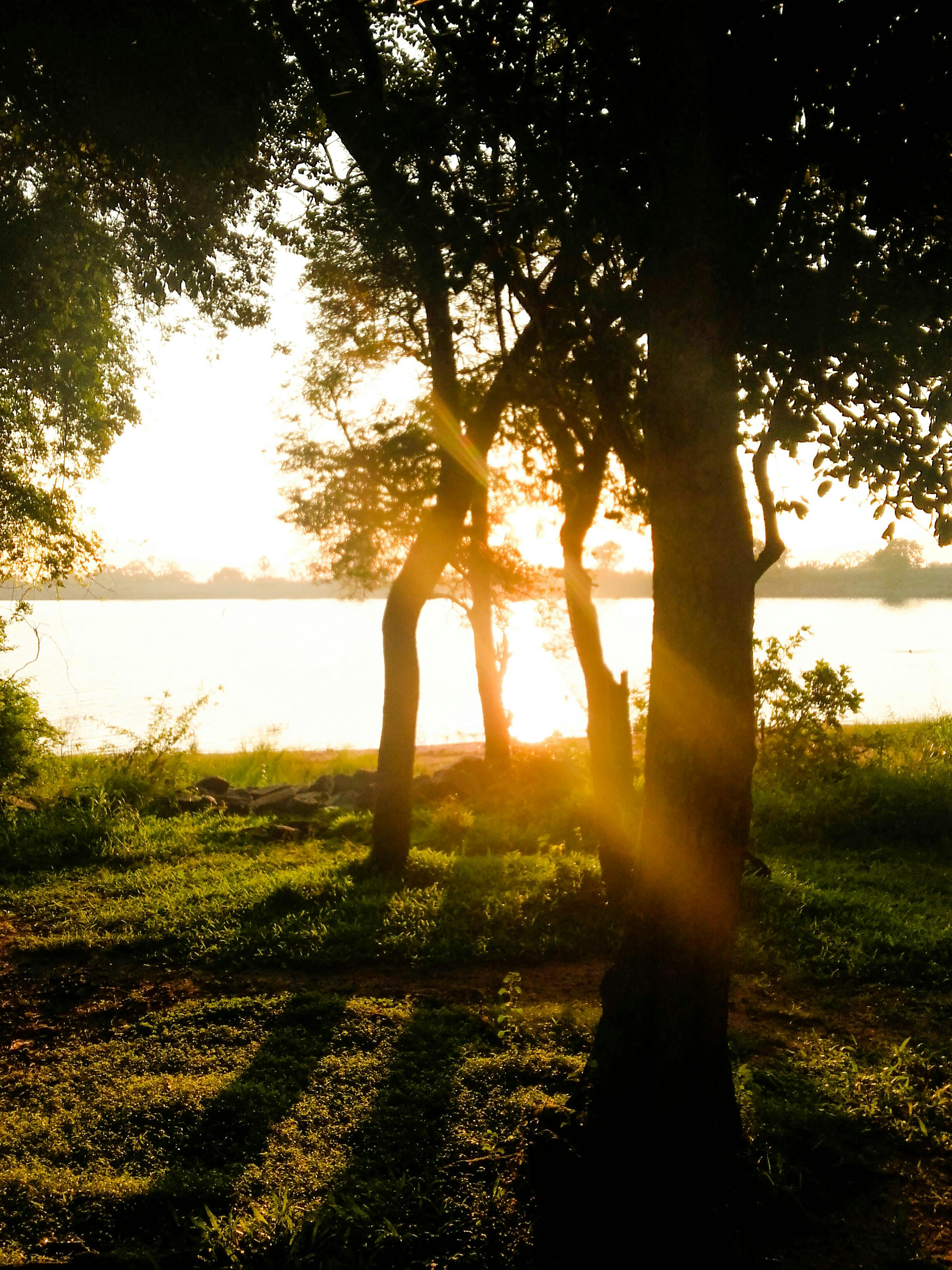 Janith Chanaka - 写真