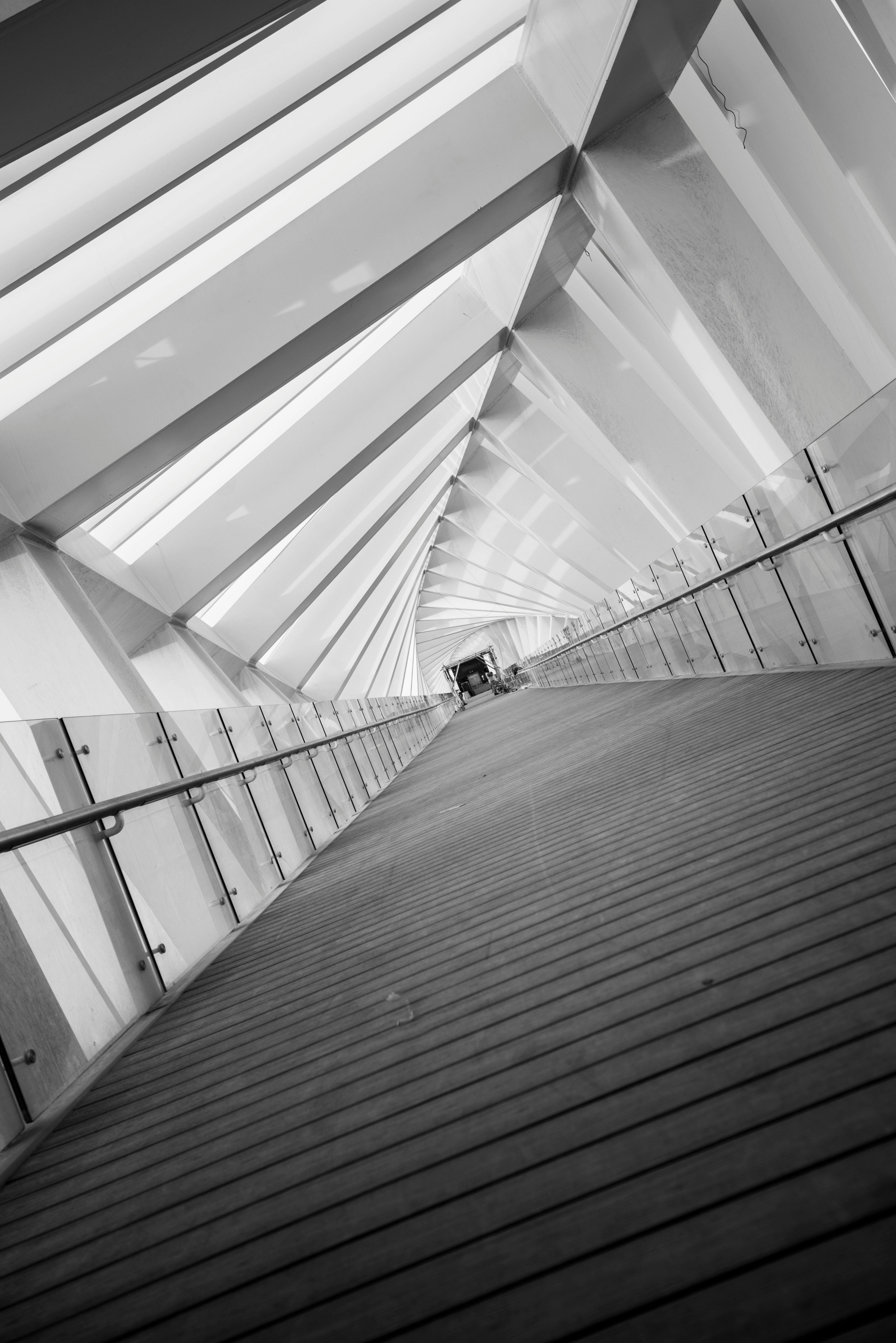 Reagan - Photography