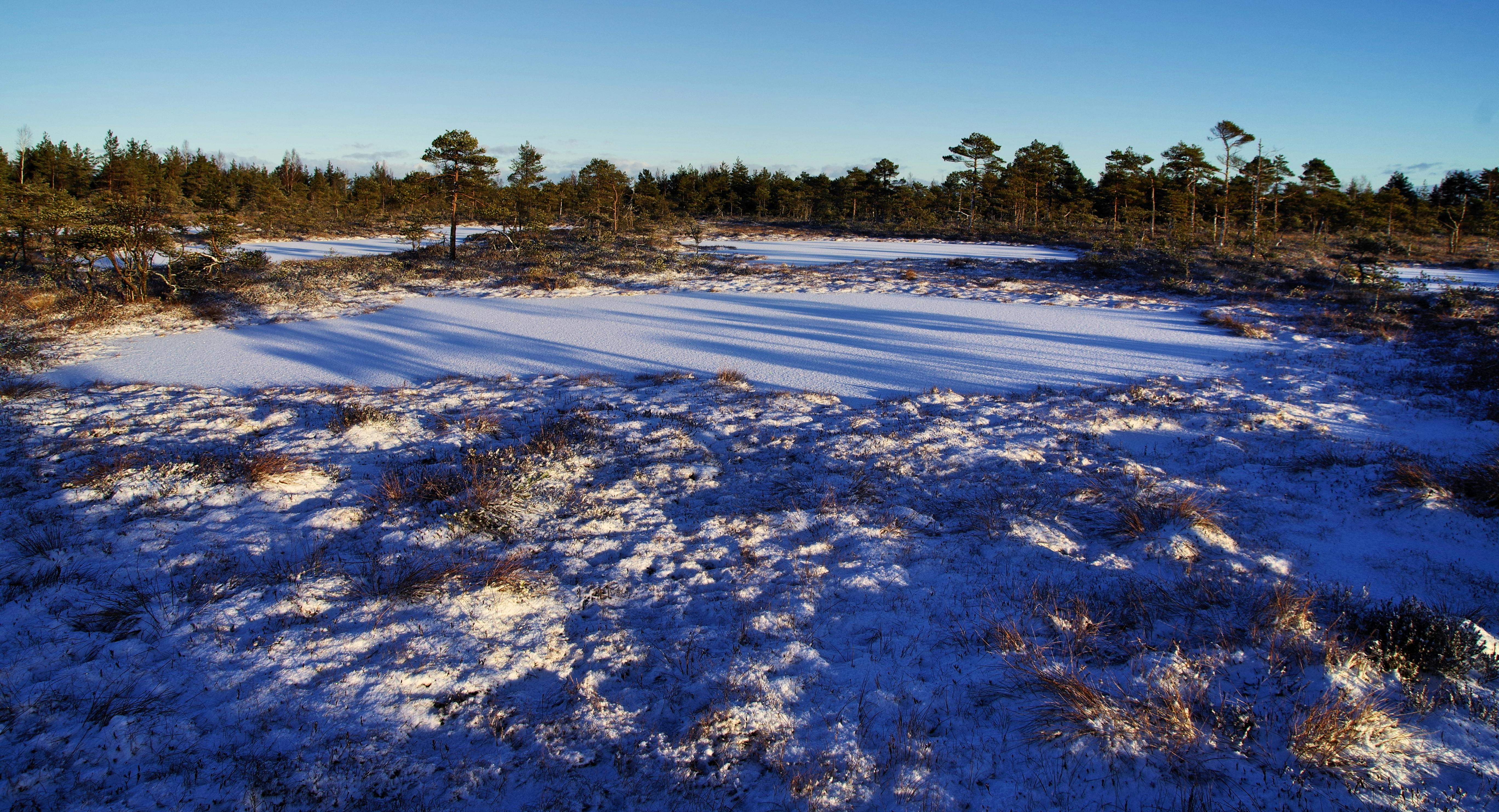 Photo of Field Covered With Snow · Free Stock Photo