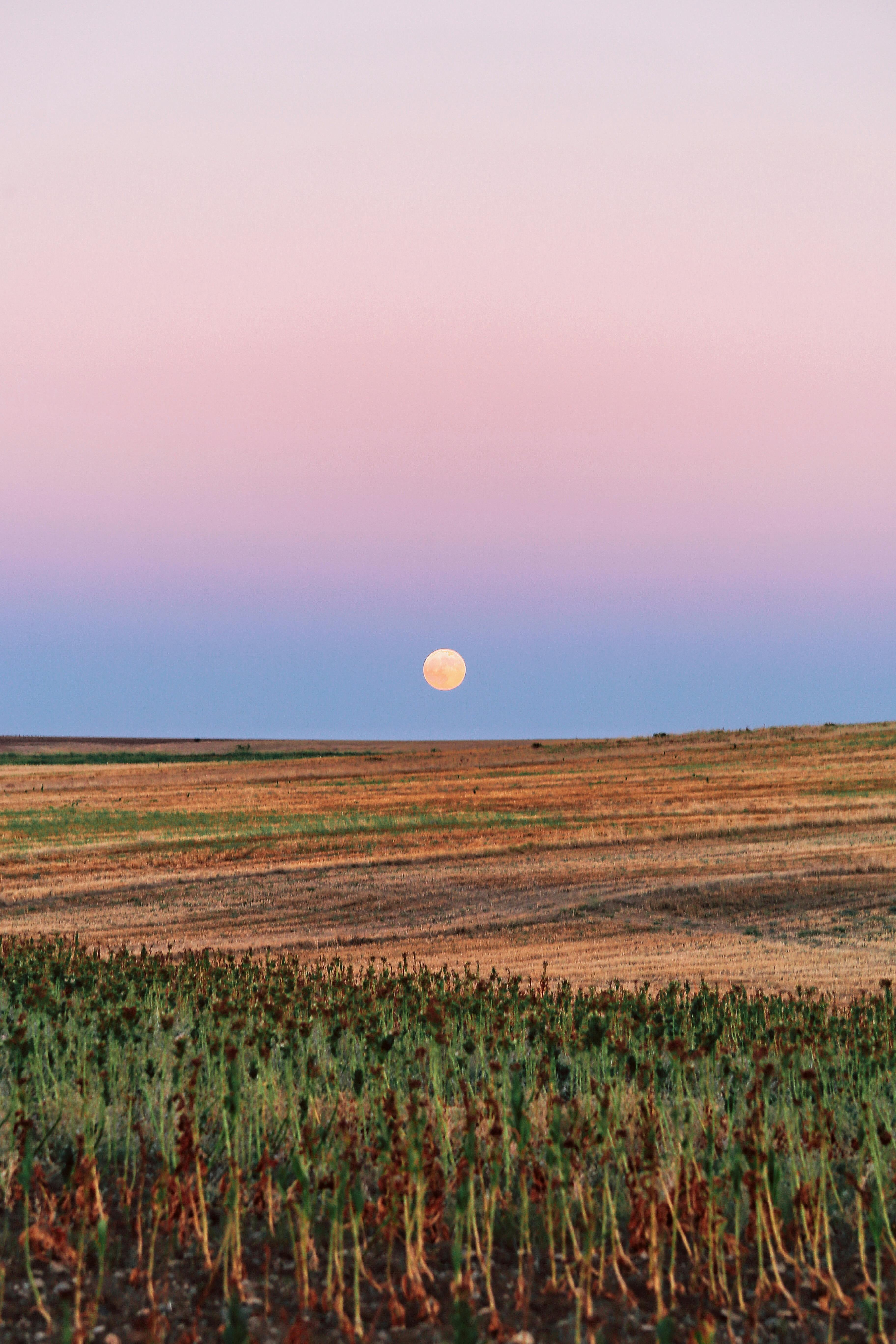 Full moon over green field in cloudless sky · Free Stock Photo