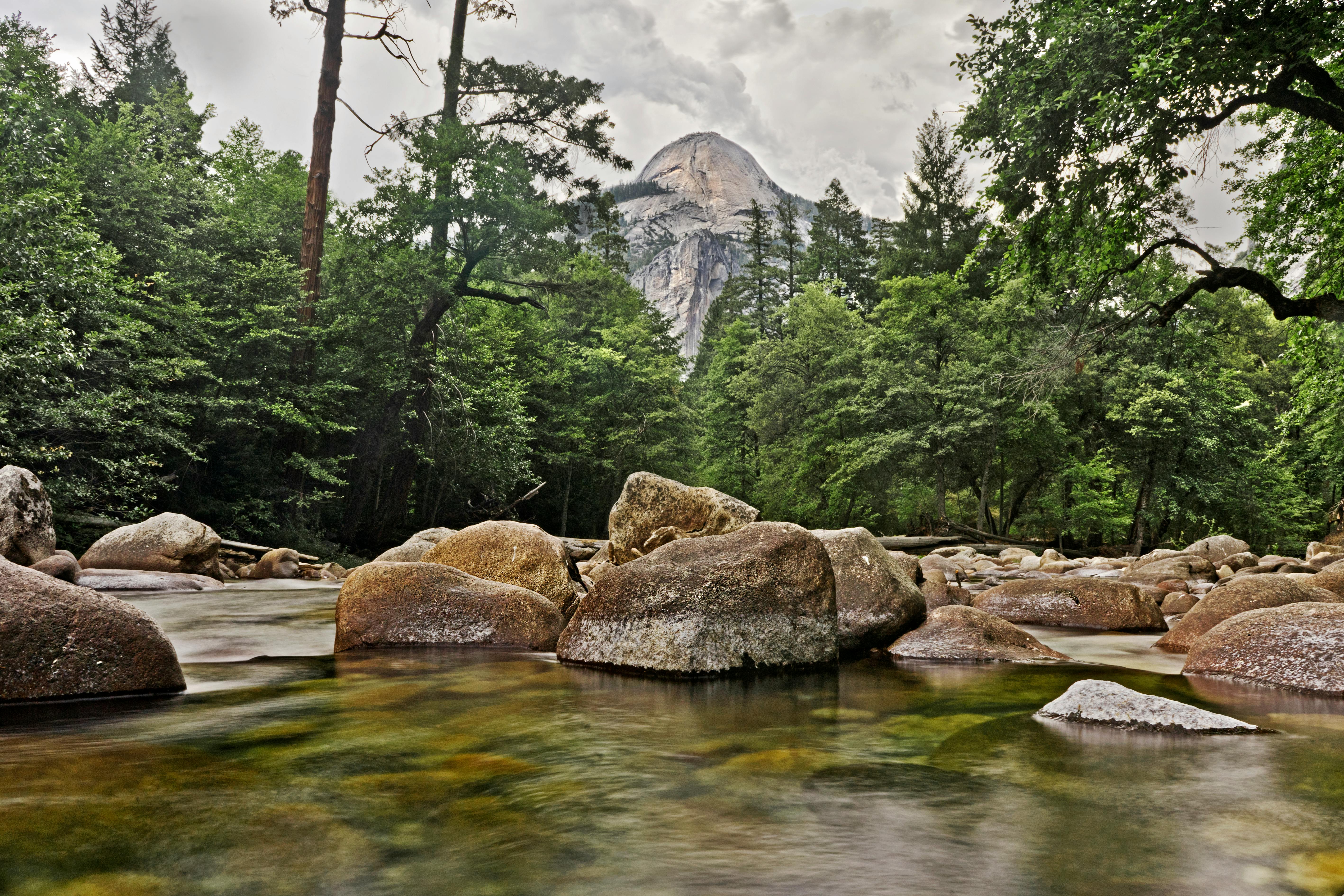 Rocks in the River · Free Stock Photo