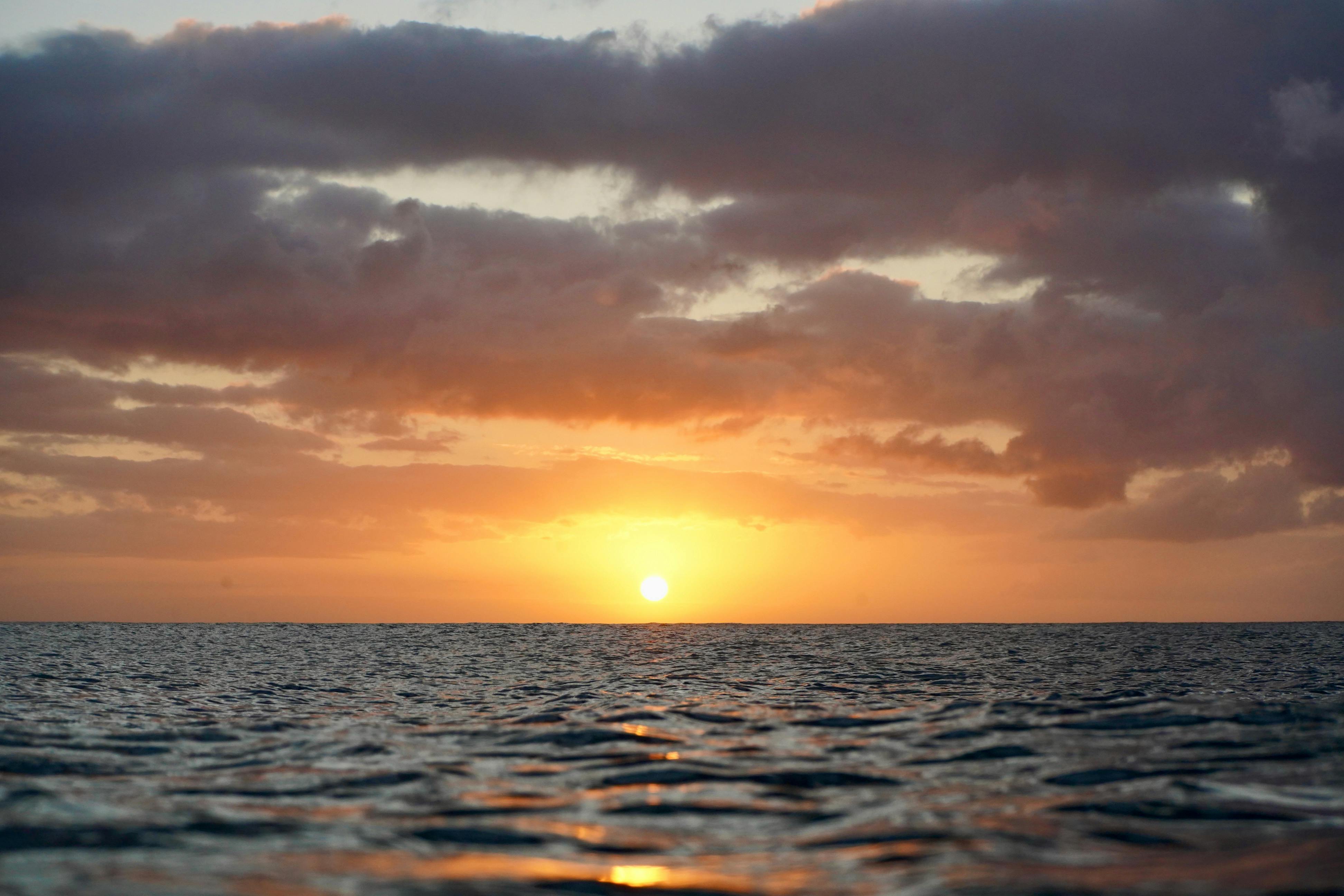 The View of the Sun on the Horizon · Free Stock Photo