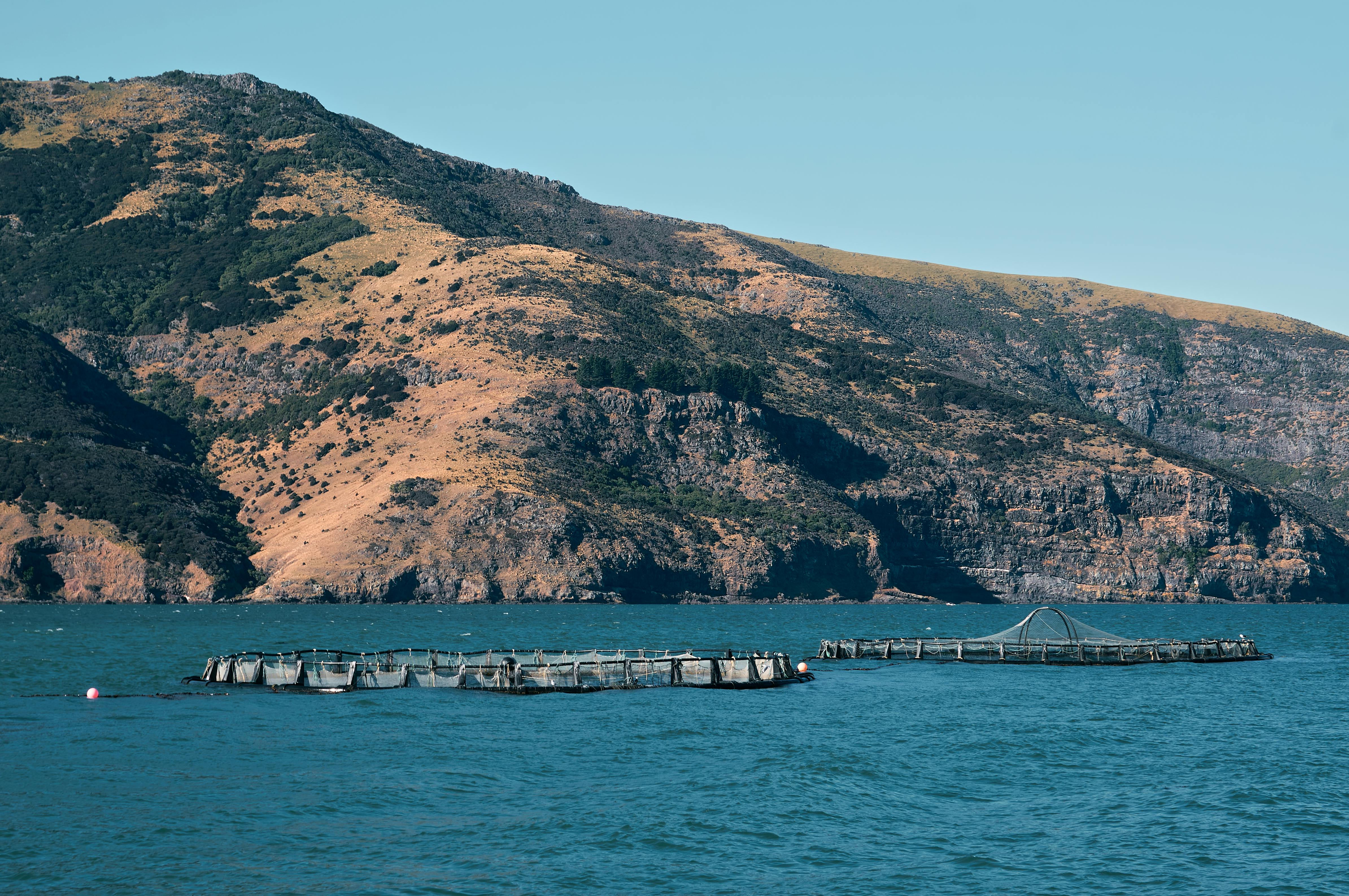 Net Pens in the Ocean for Fish Farming · Free Stock Photo