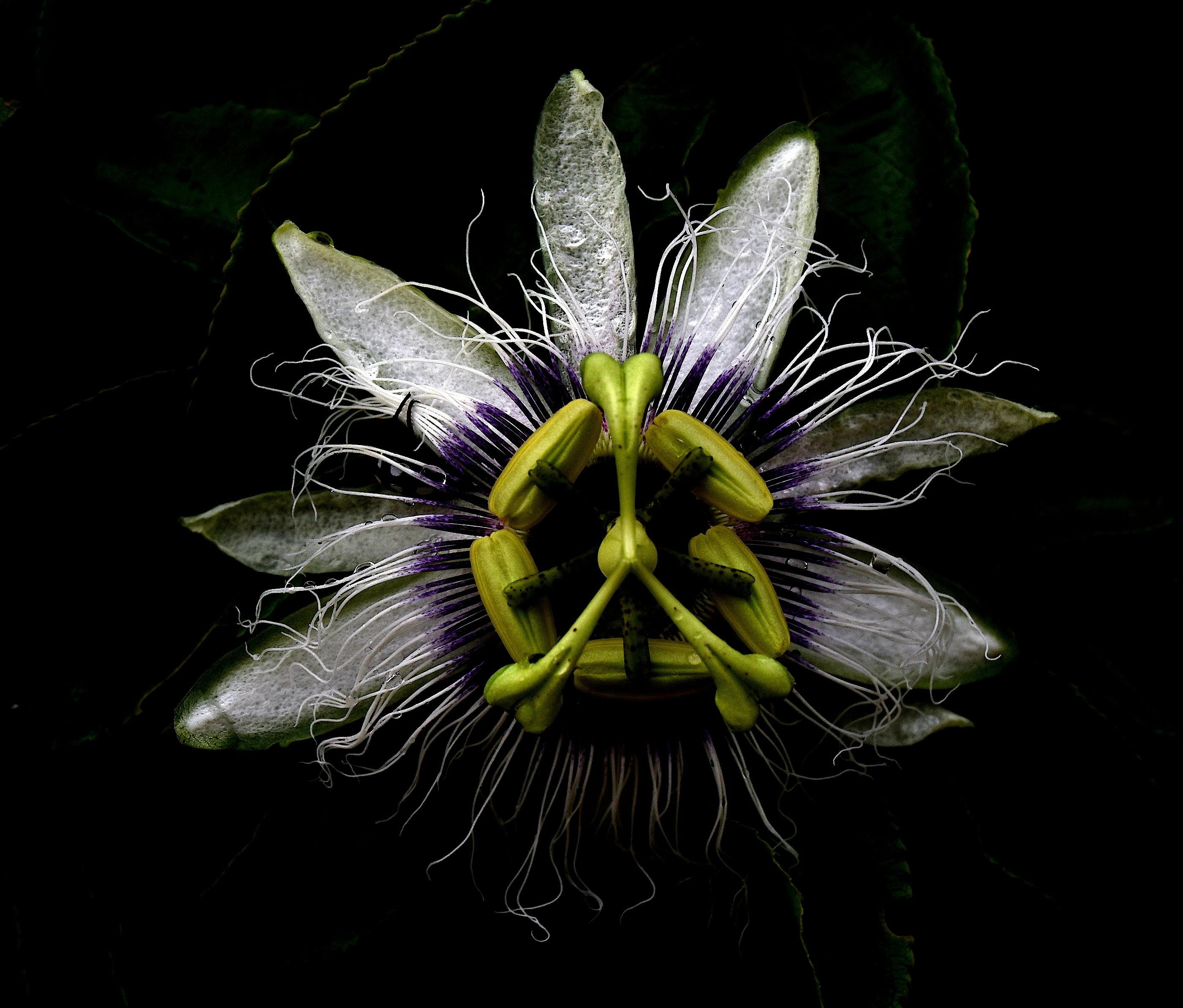 Photo gratuite de doigt de dieu, effondrement avant 1988, mukurob