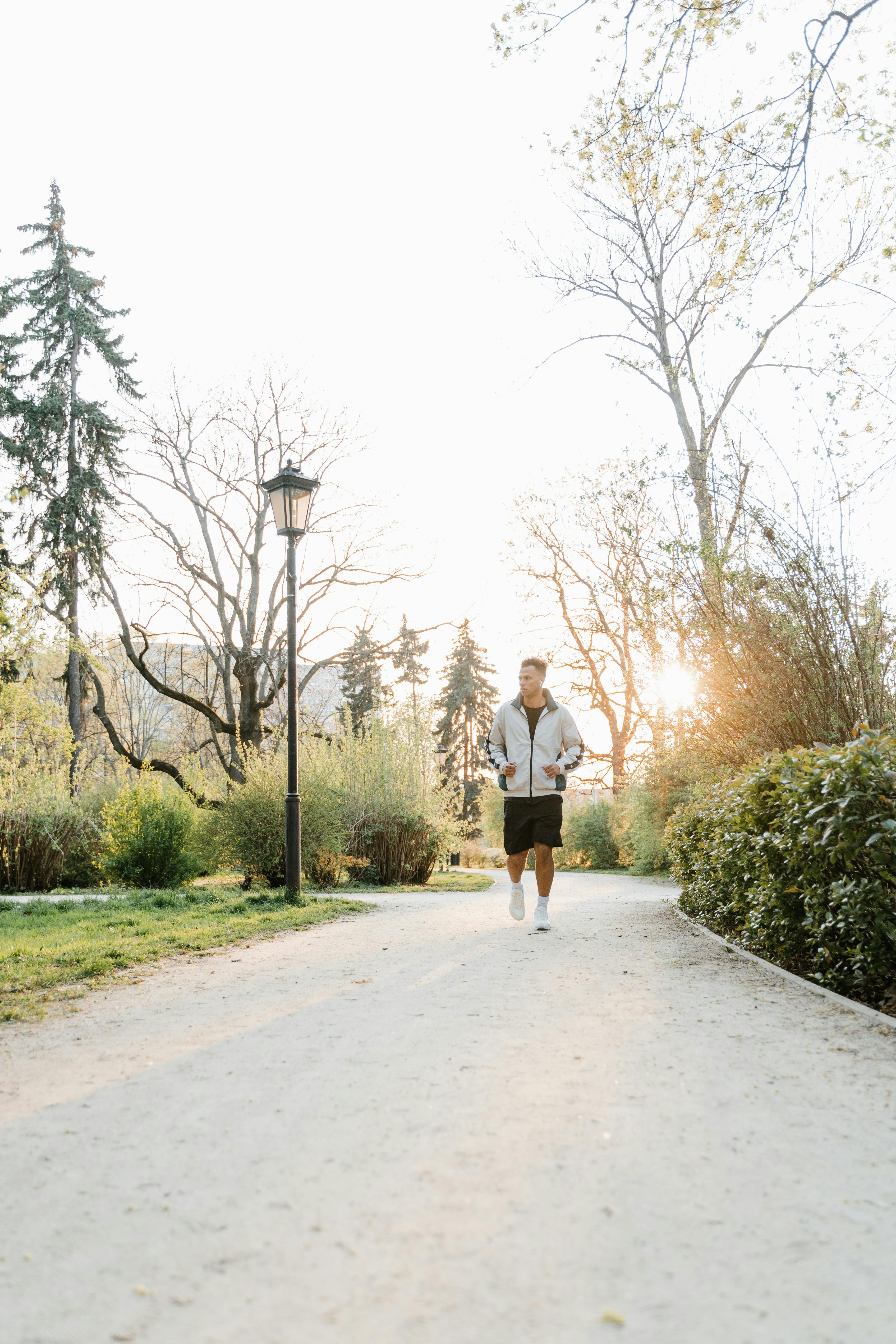 Person Running Near Street Between Tall Trees · Free Stock Photo