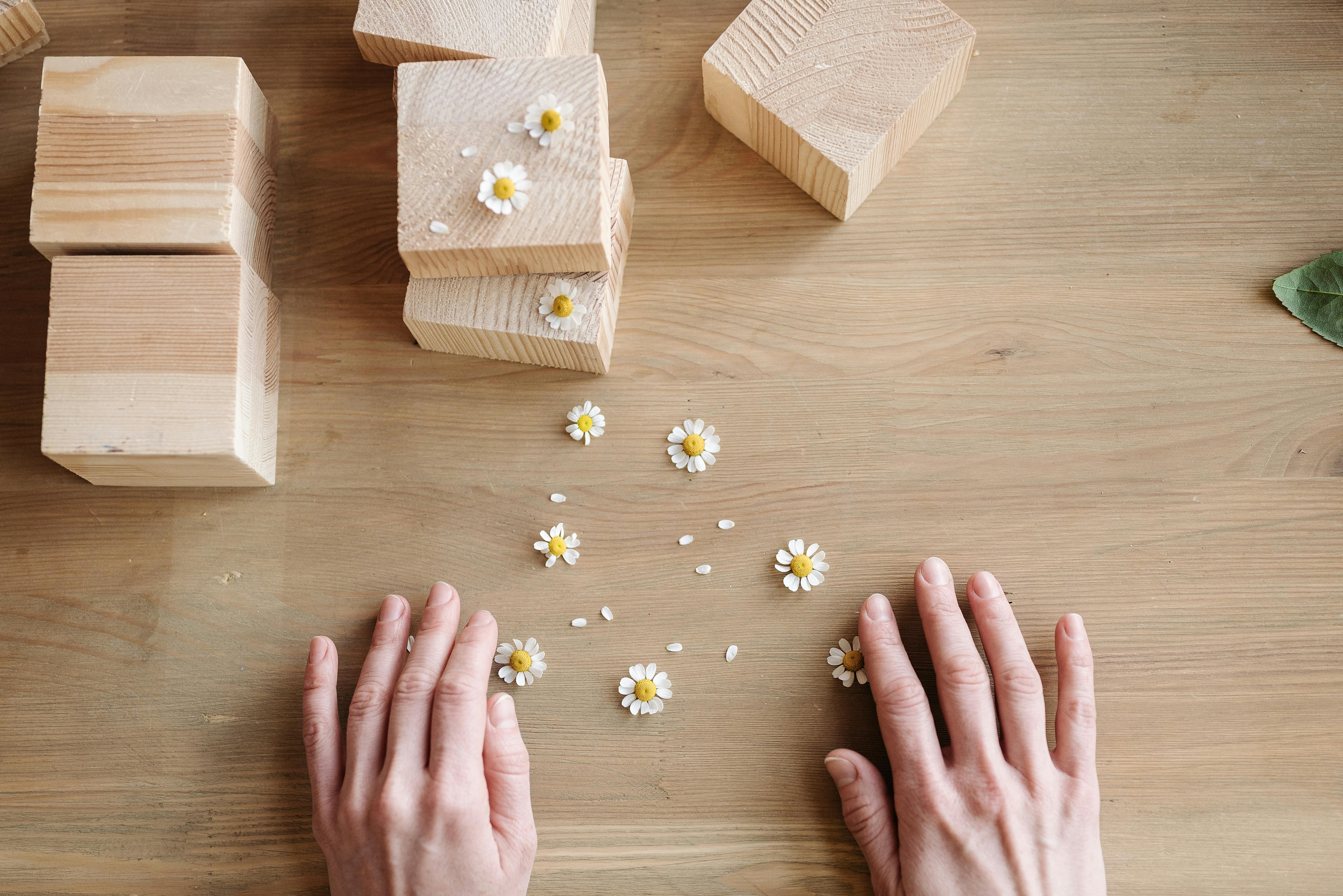 Homemade Blocks Photos, Download The BEST Free Homemade Blocks Stock ...