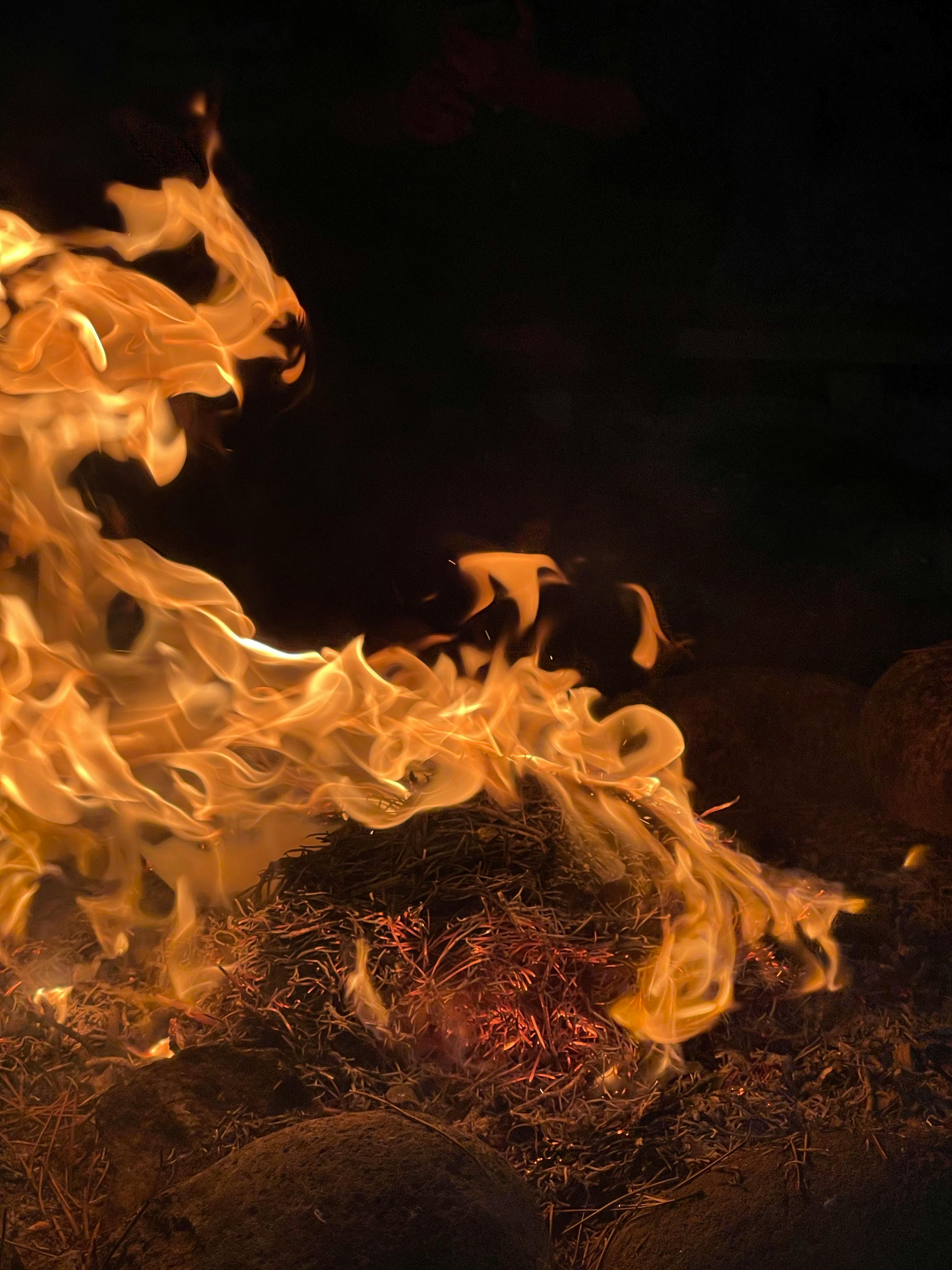 Fire in the Dark during Night Time · Free Stock Photo