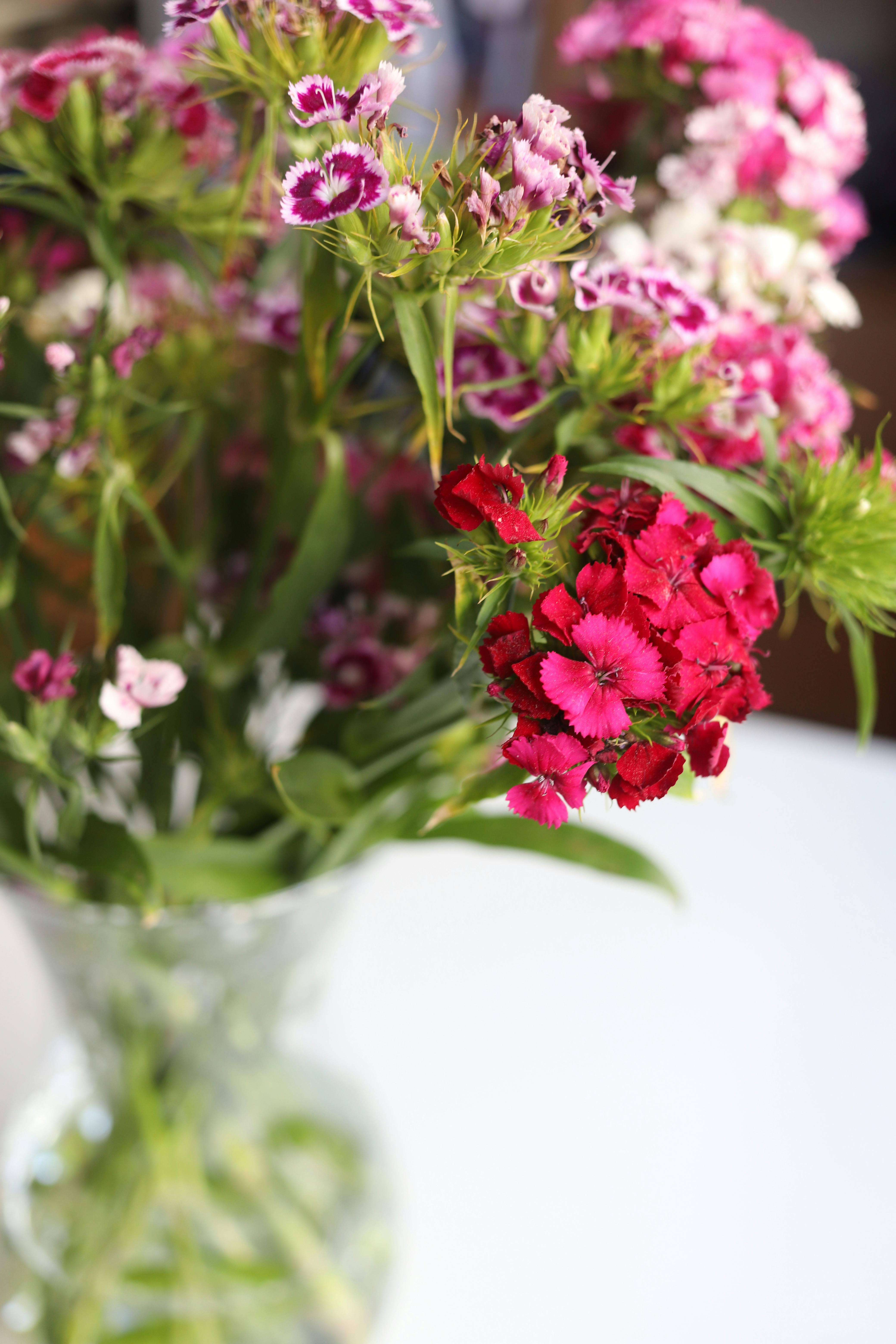 Close-Up Photo of Round Bubbles Floating · Free Stock Photo