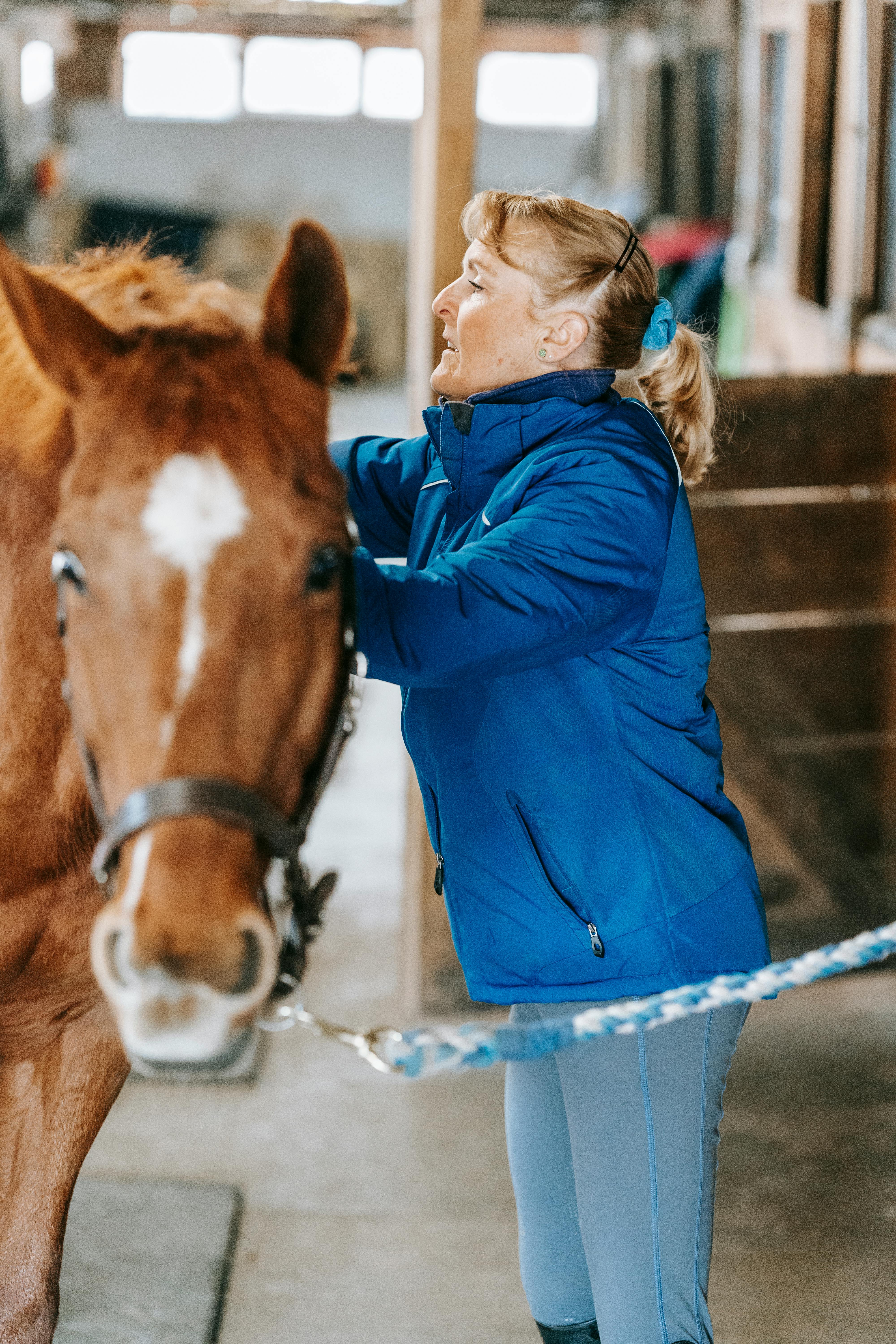 Stable Worker Photos, Download The BEST Free Stable Worker Stock Photos ...