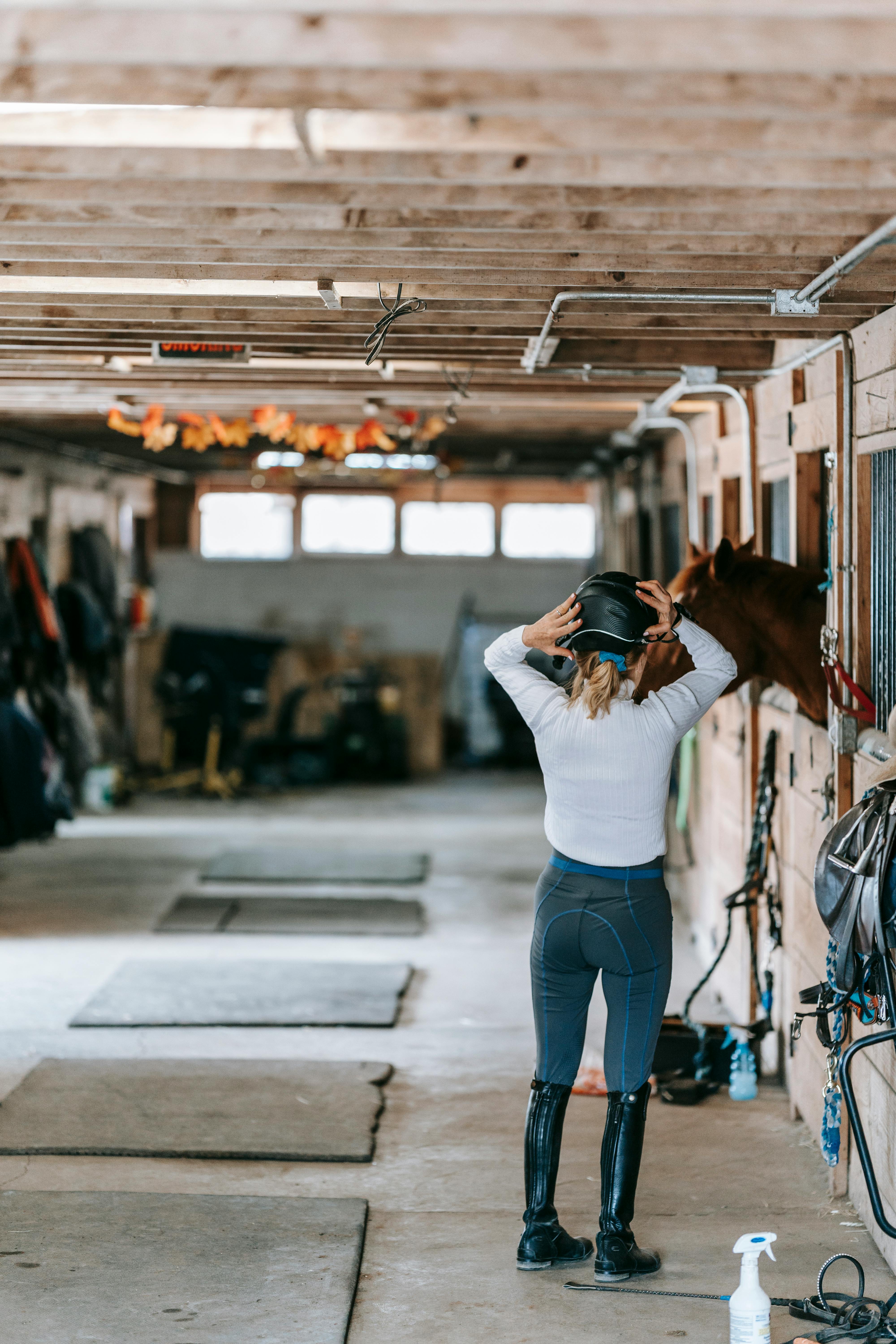 Paddock Scene Photos, Download The BEST Free Paddock Scene Stock Photos ...