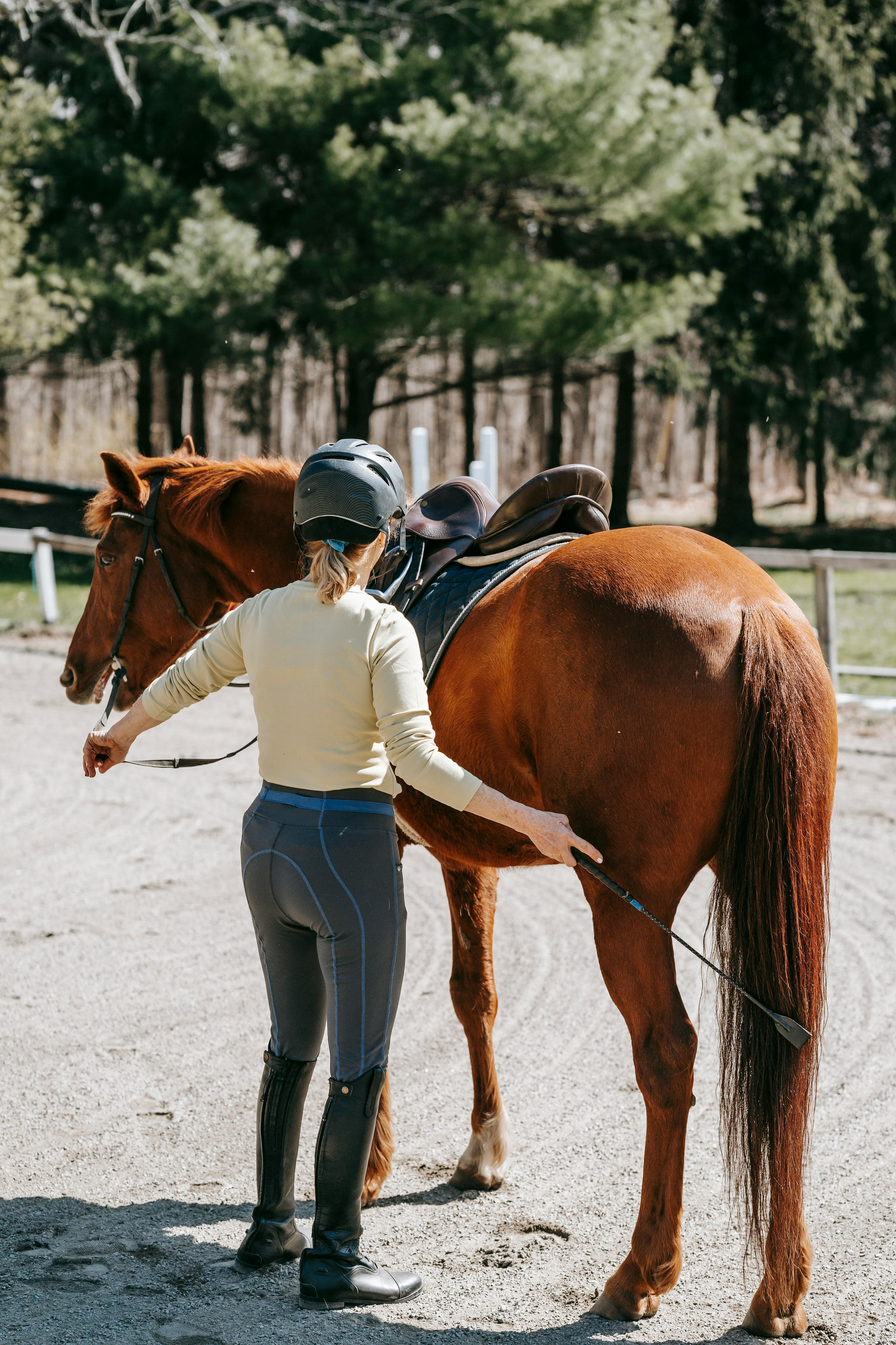 Dressage Routine Photos, Download The BEST Free Dressage Routine Stock ...