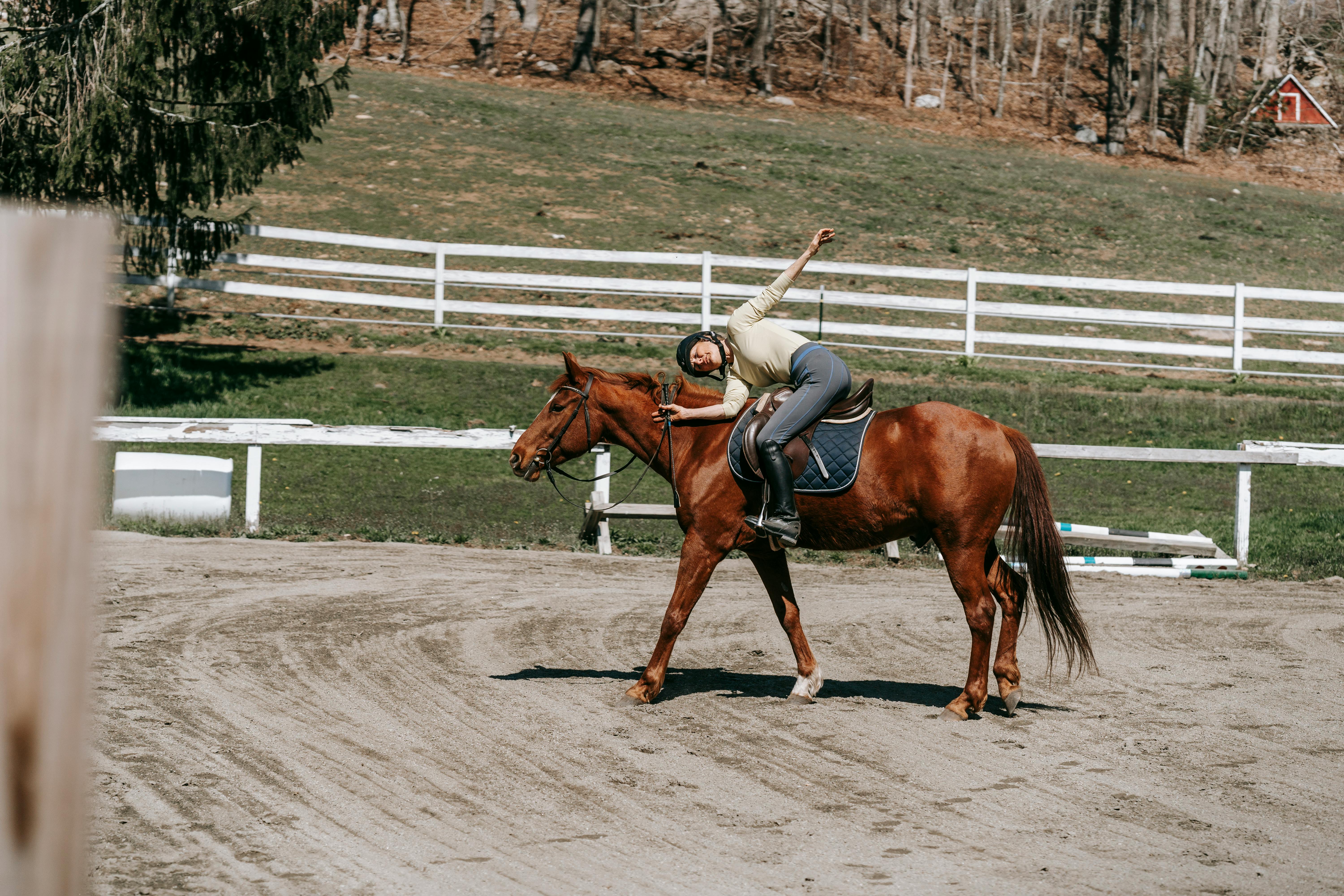 Happy Woman Riding a Horse · Free Stock Photo