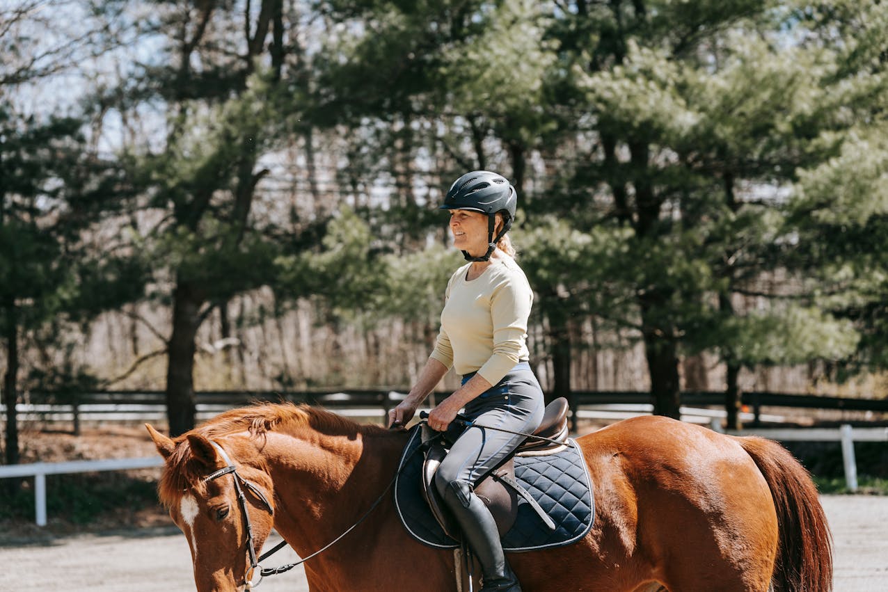 Mastering Horse Gaits: From Walk to Gallop with Ease