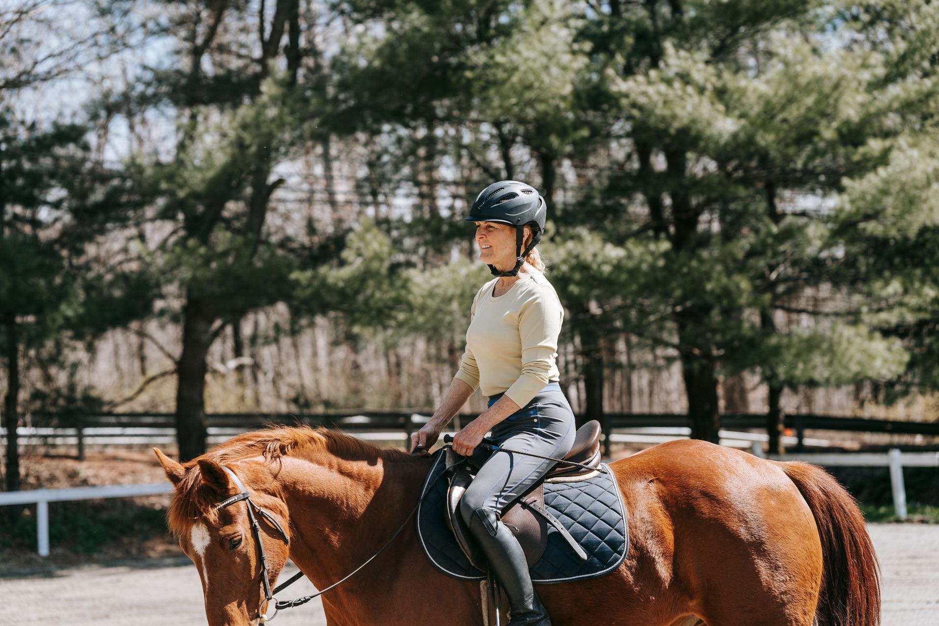 Mastering Horse Gaits From Walk To Gallop With Ease
