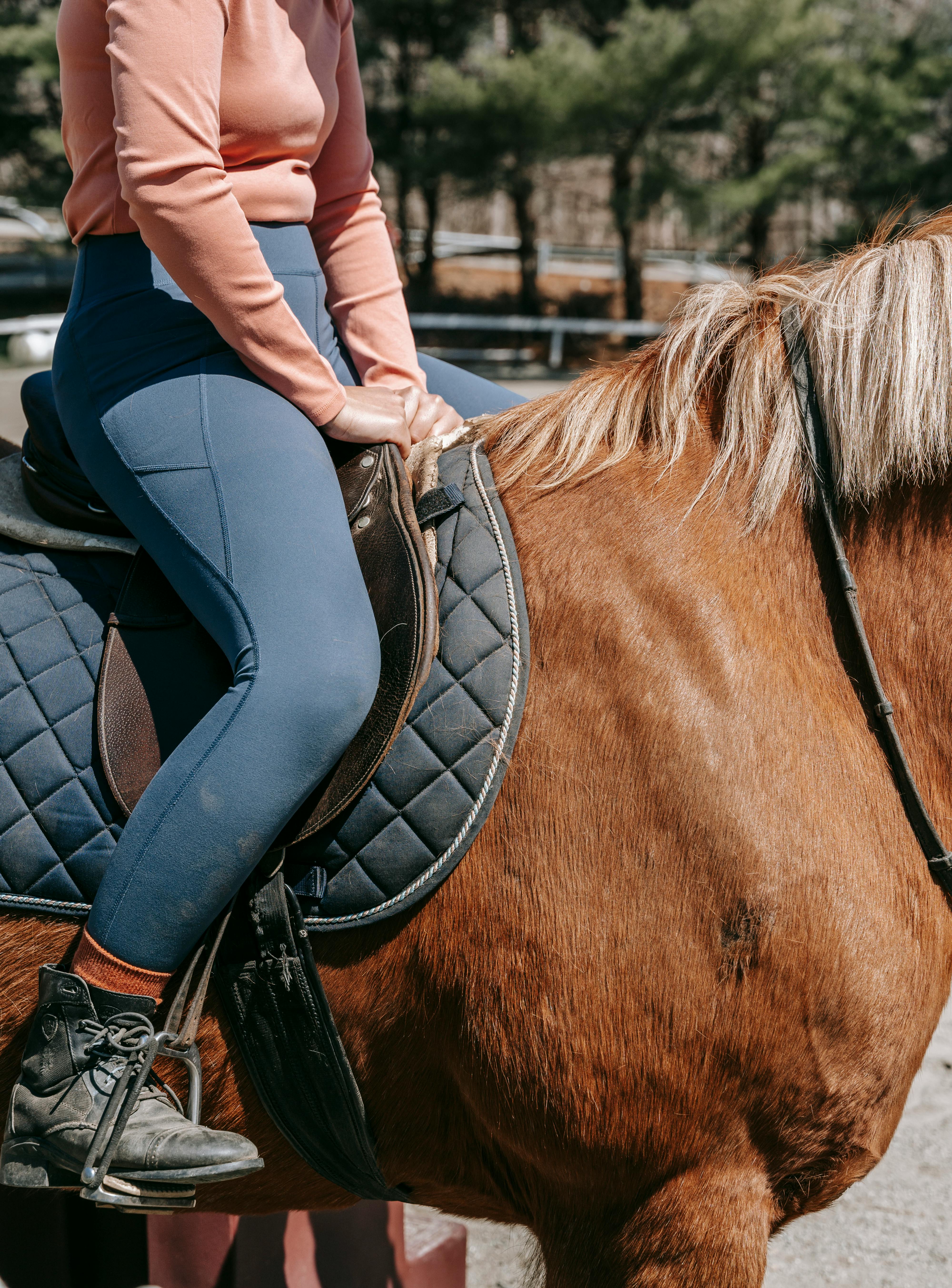 Woman Sitting in Saddle on Horse · Free Stock Photo