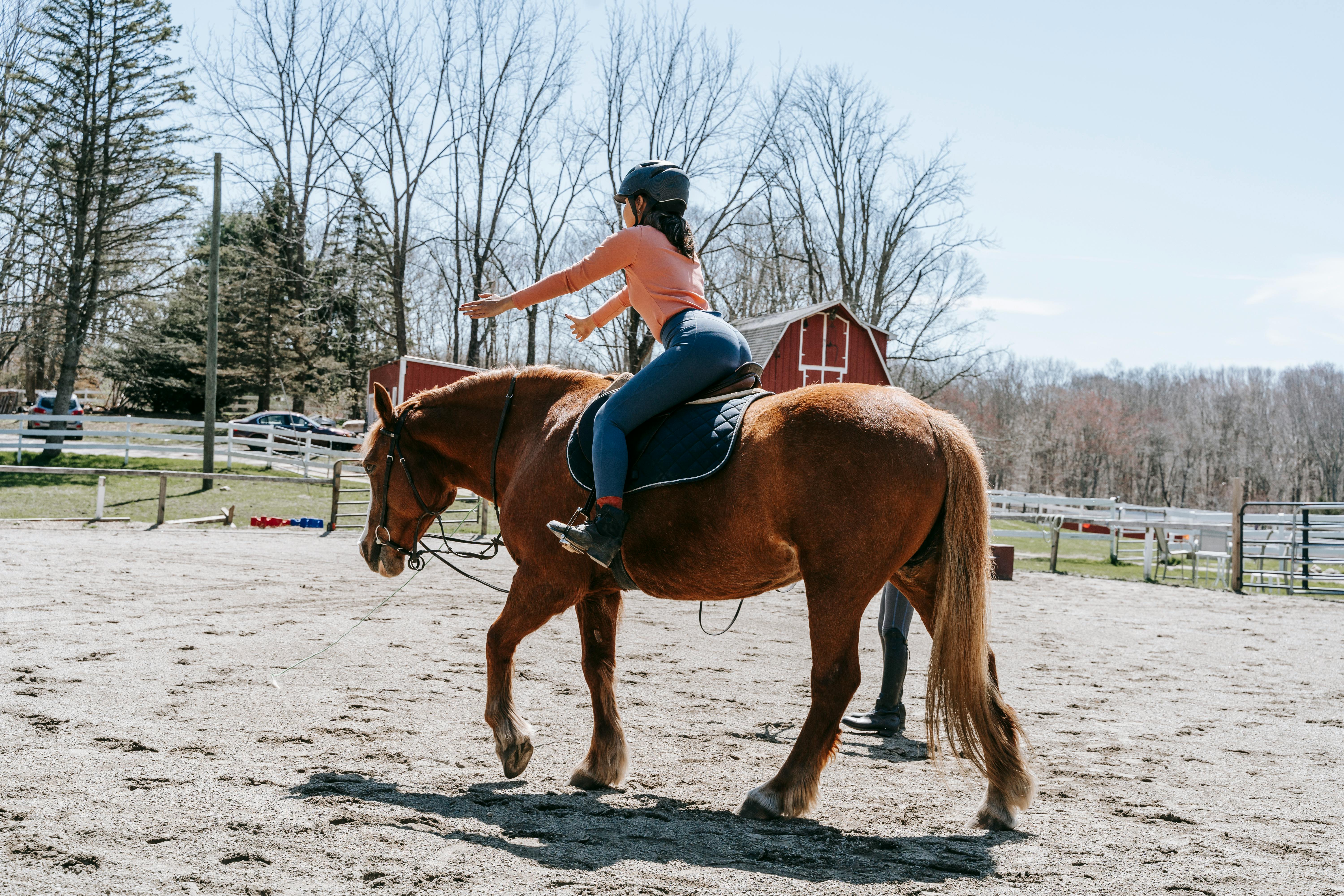 Girl Riding on a Horse · Free Stock Photo