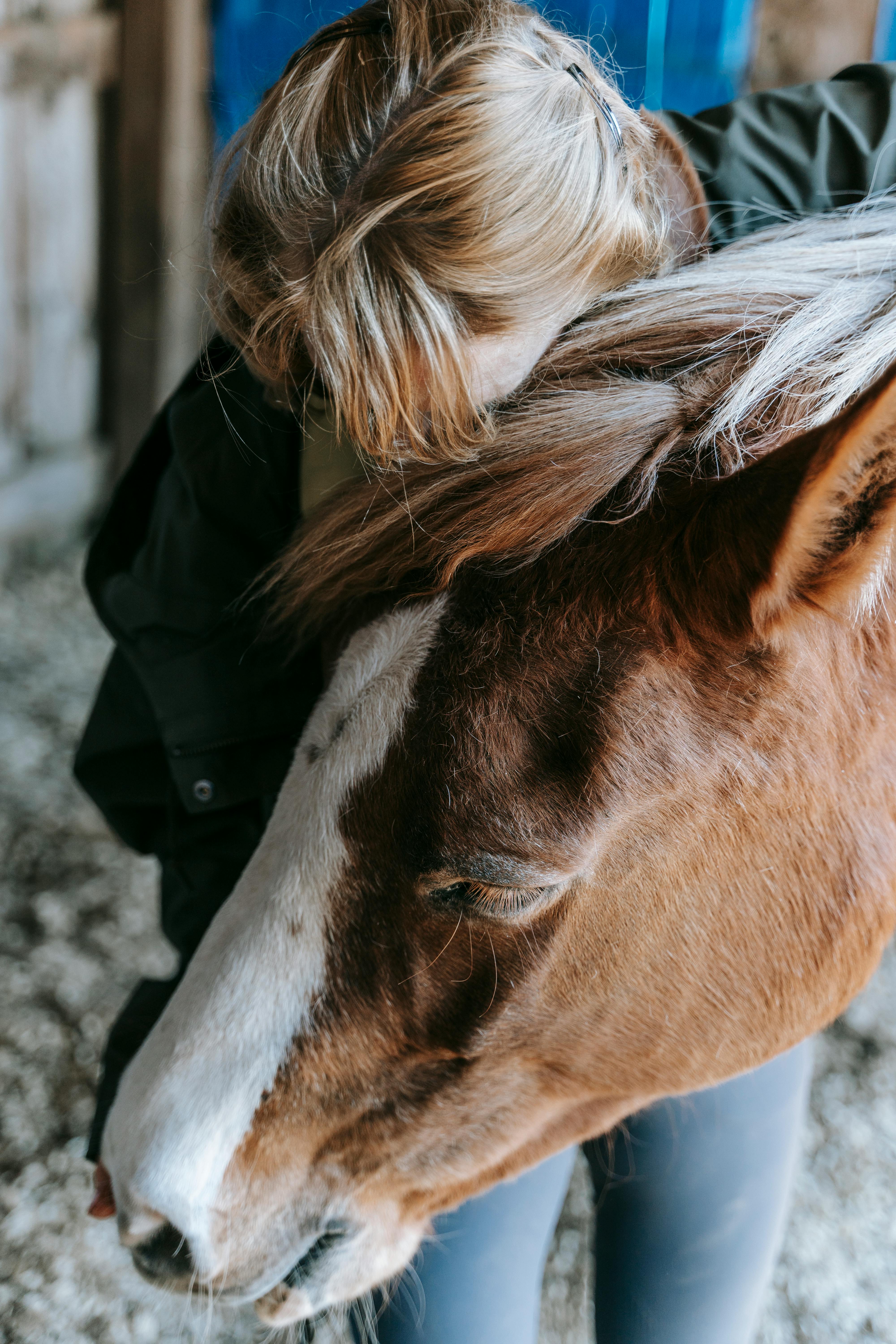 Woman Hugging Horse · Free Stock Photo