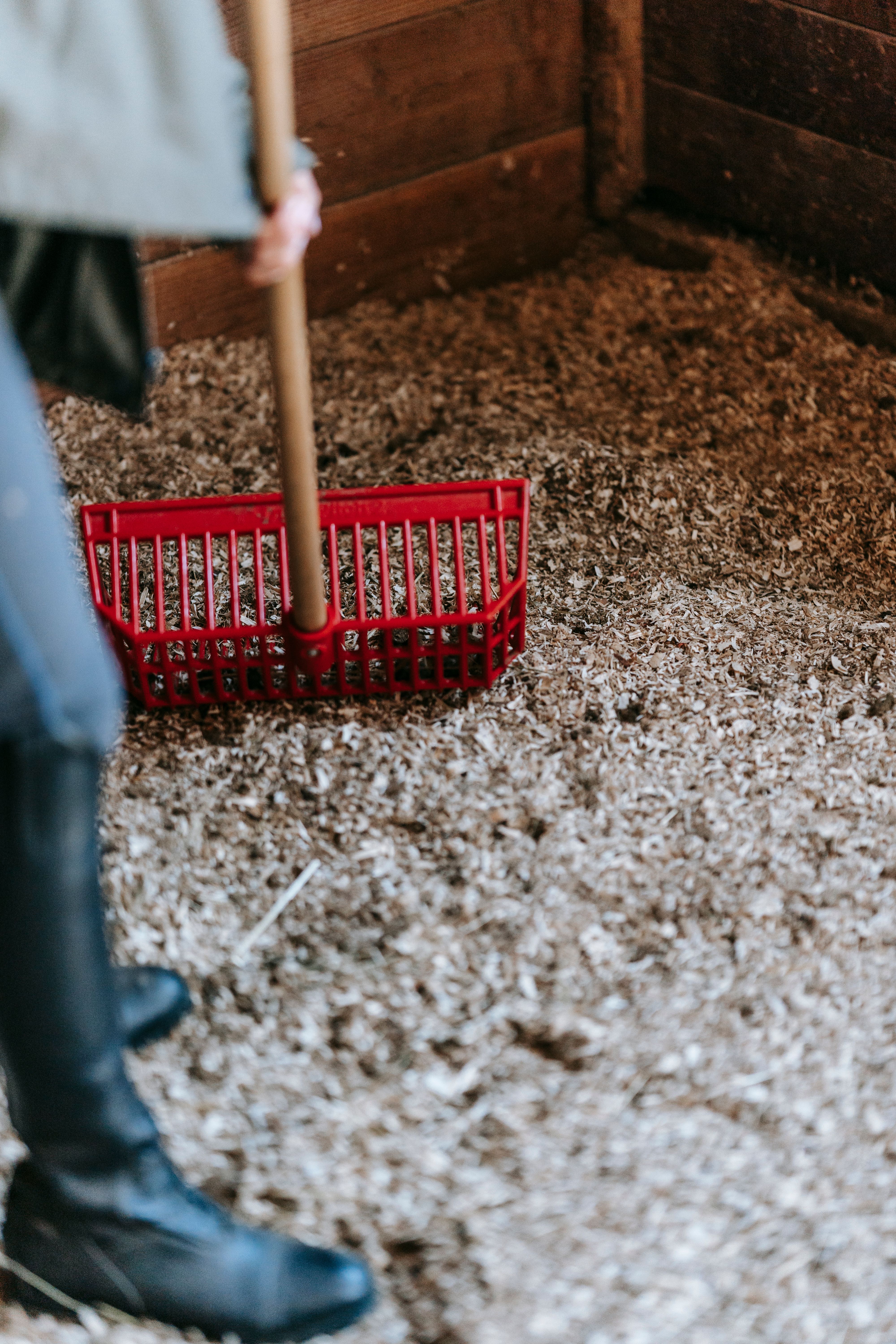 A Person Cleaning the Cage · Free Stock Photo
