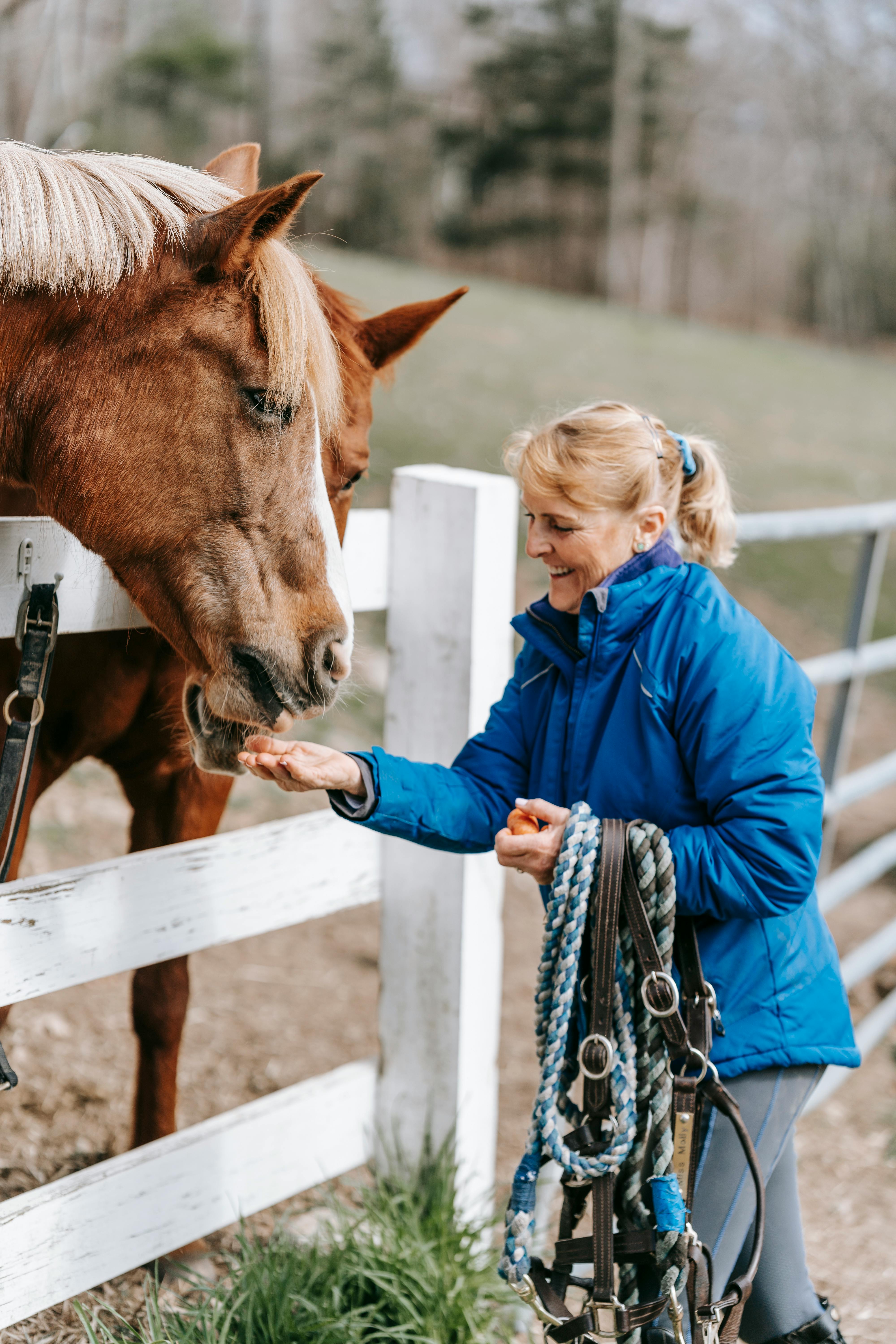 Woman Feeding Horse · Free Stock Photo