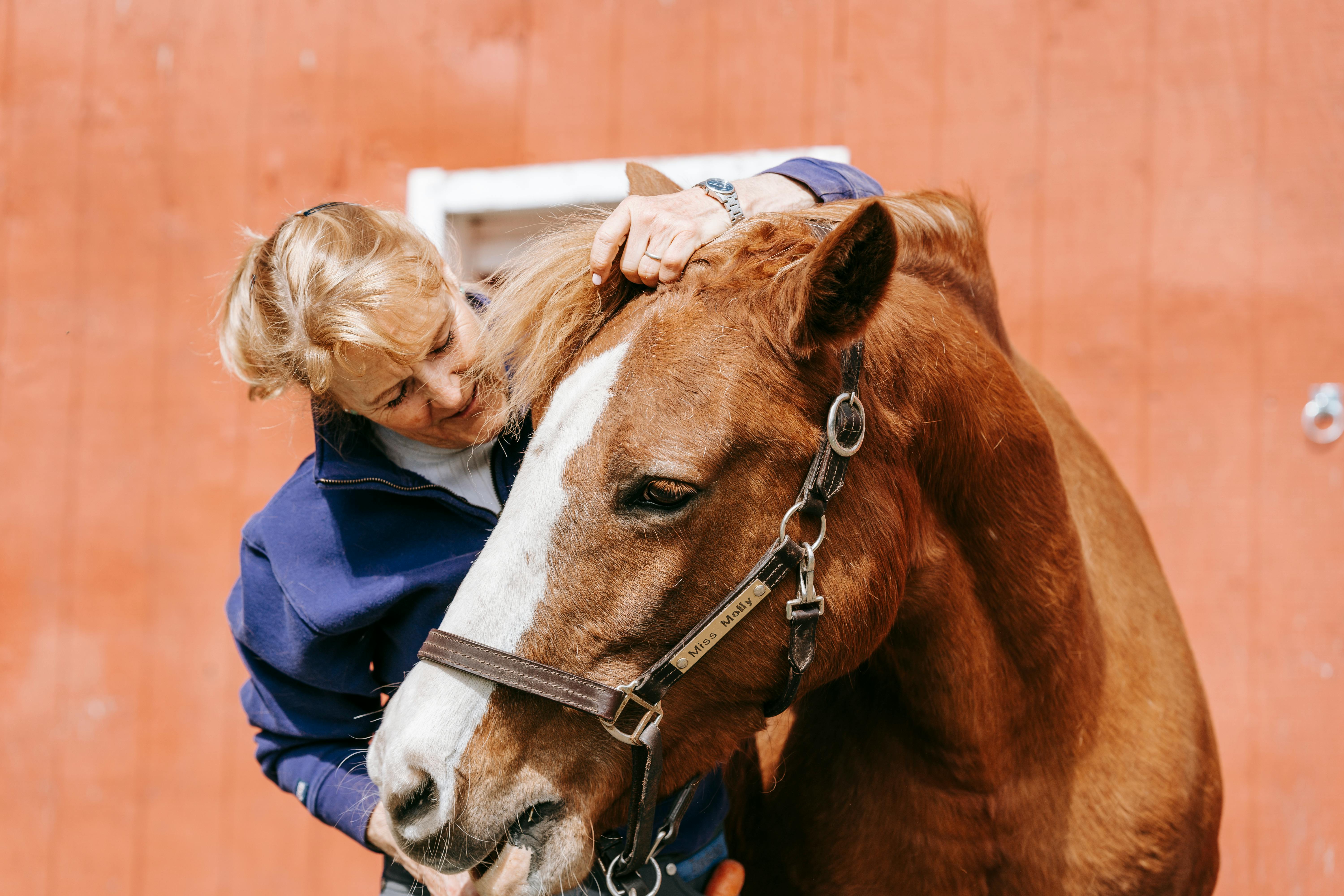 A Man Holding a Black Horse · Free Stock Photo
