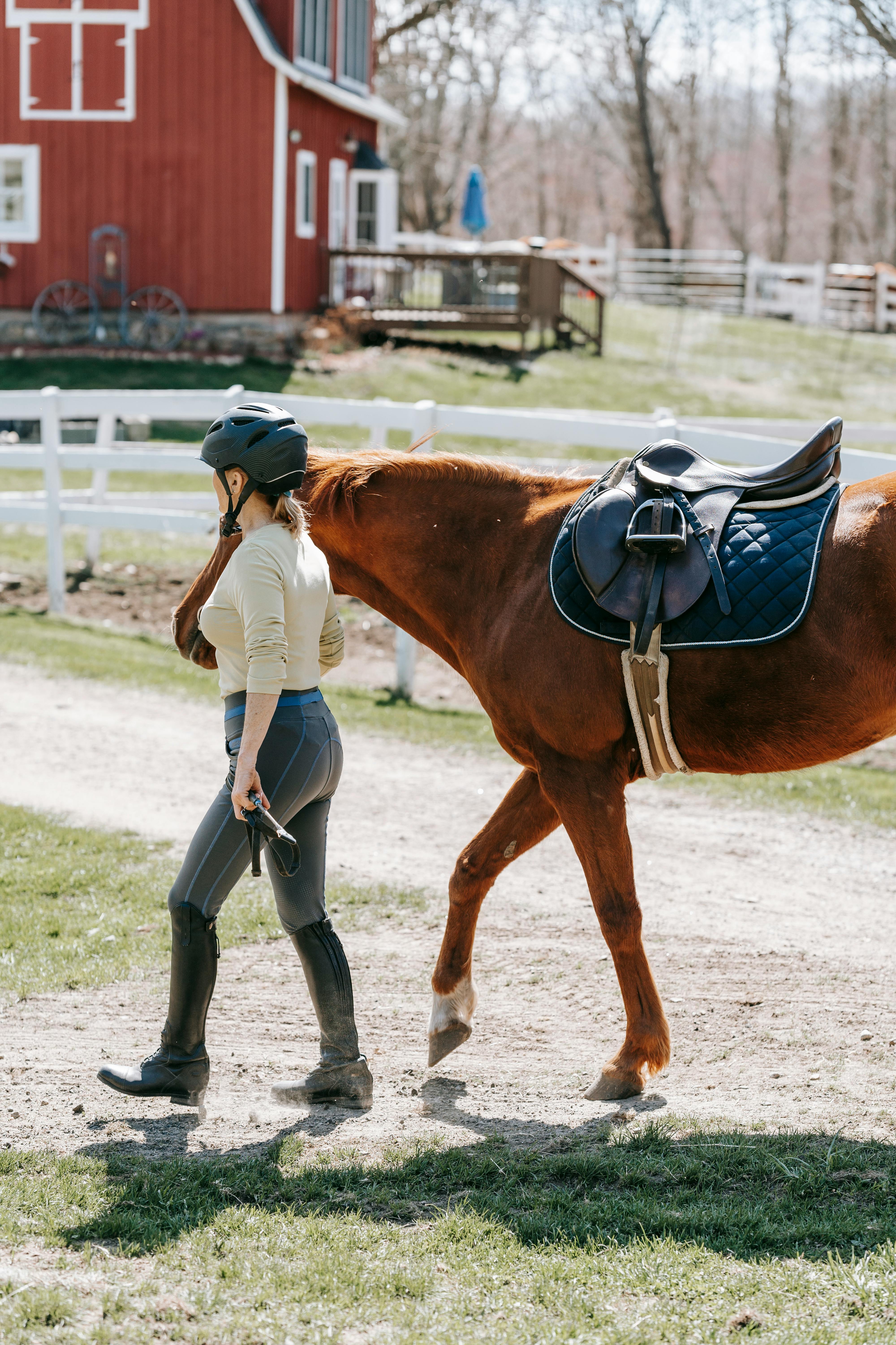 A Woman Walking With Her Horse · Free Stock Photo
