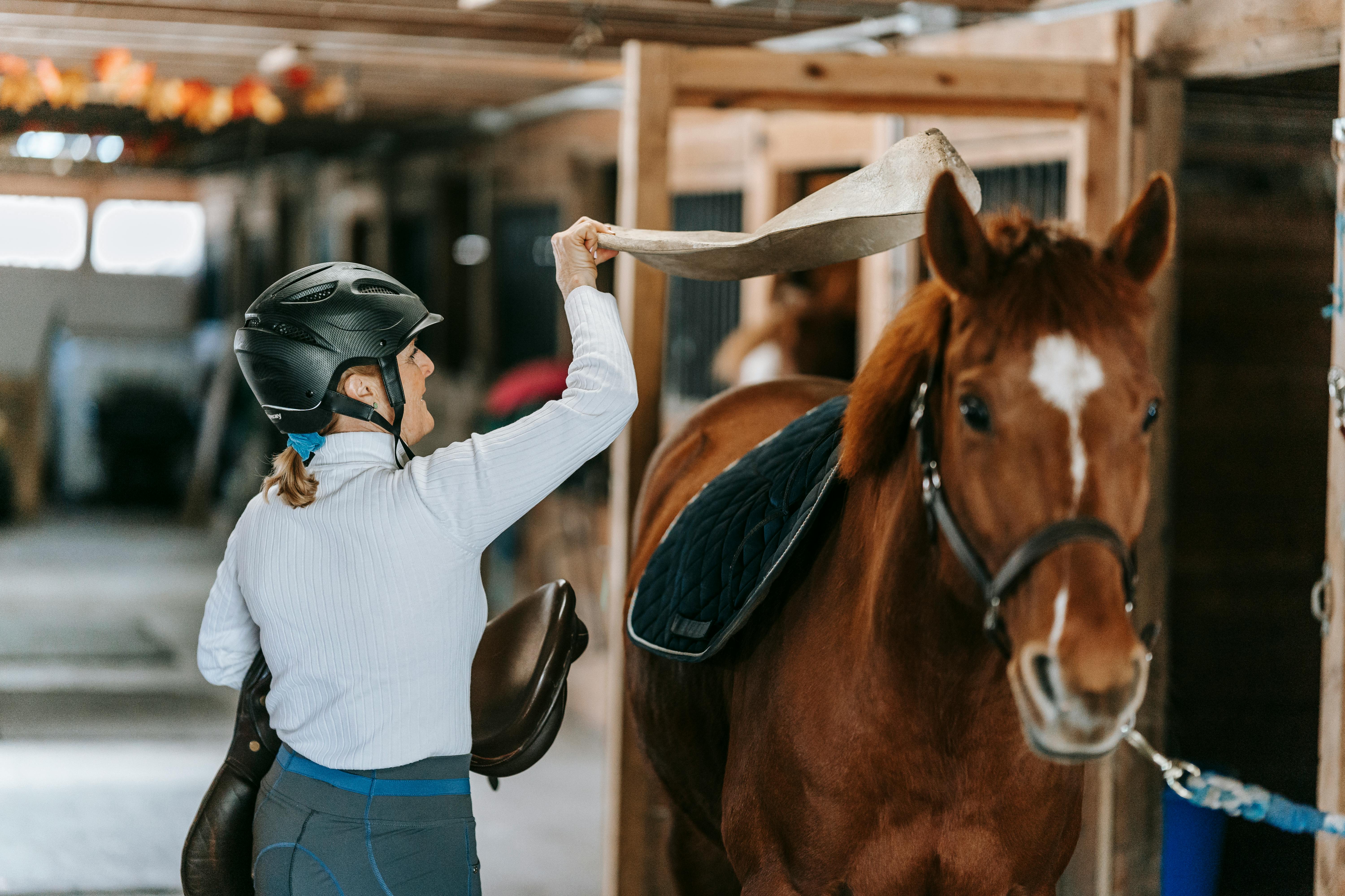 Woman and Horse in Stable · Free Stock Photo