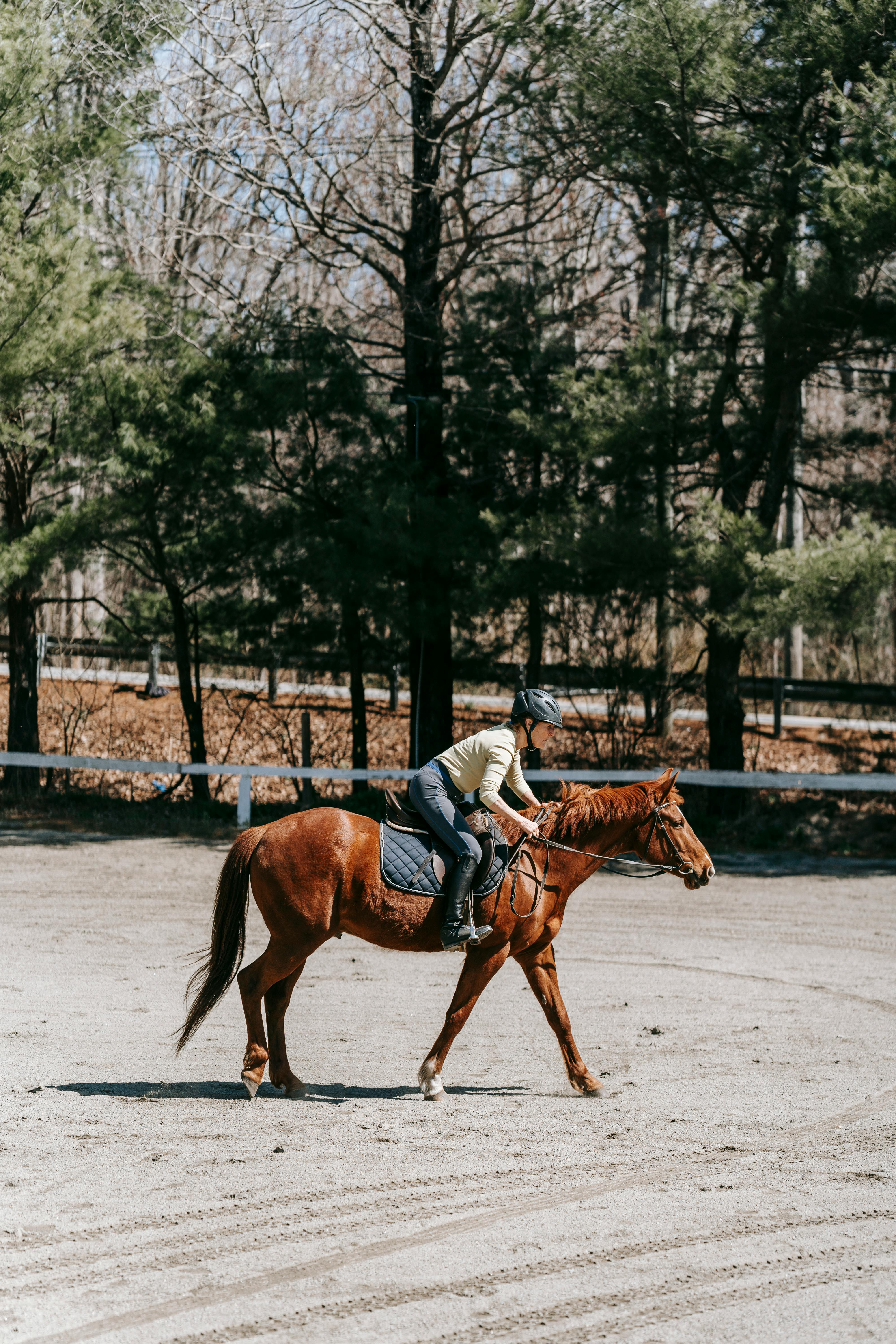Person Learning Horseback Riding · Free Stock Photo