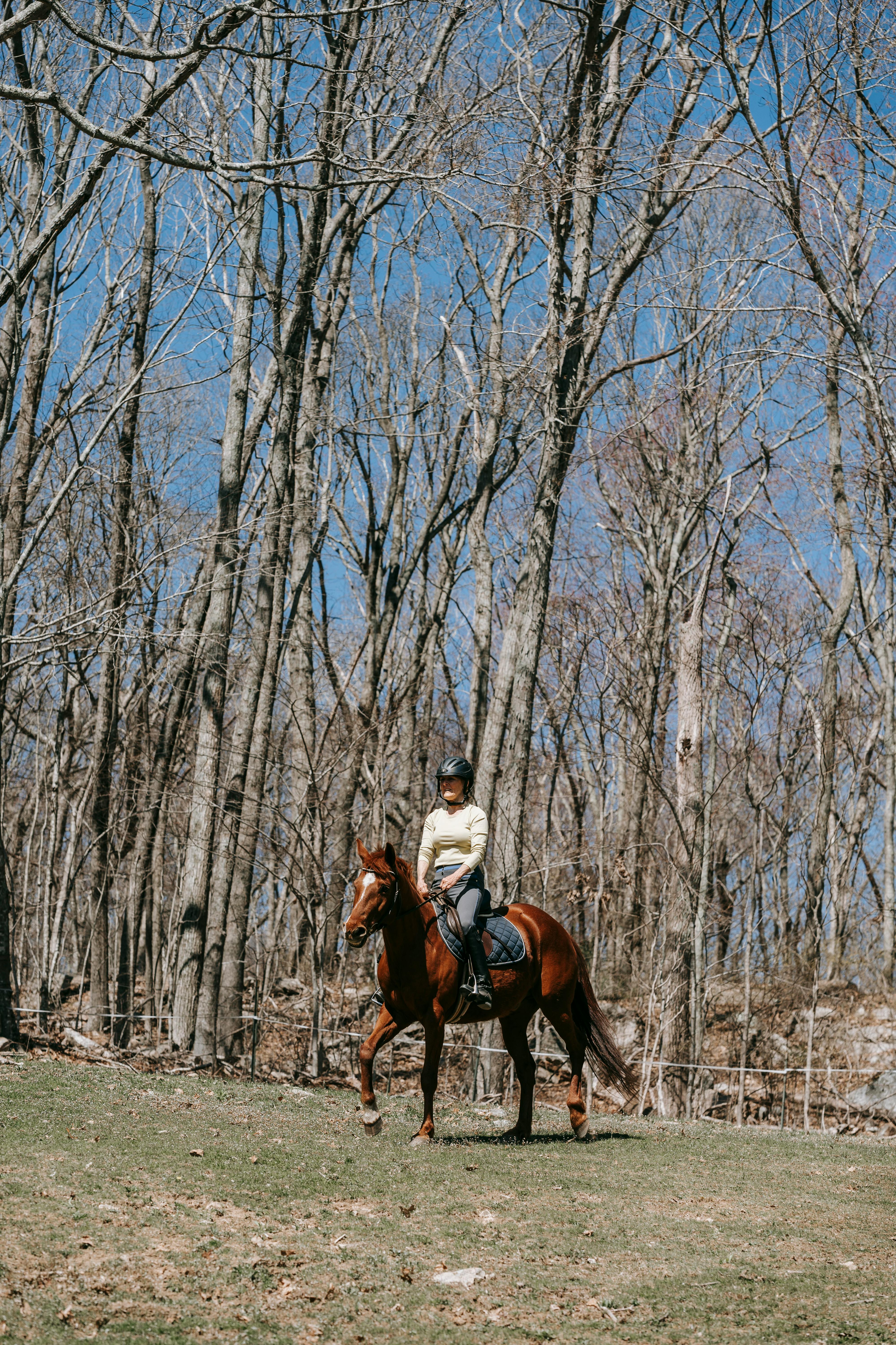 A Person Horseback Riding · Free Stock Photo