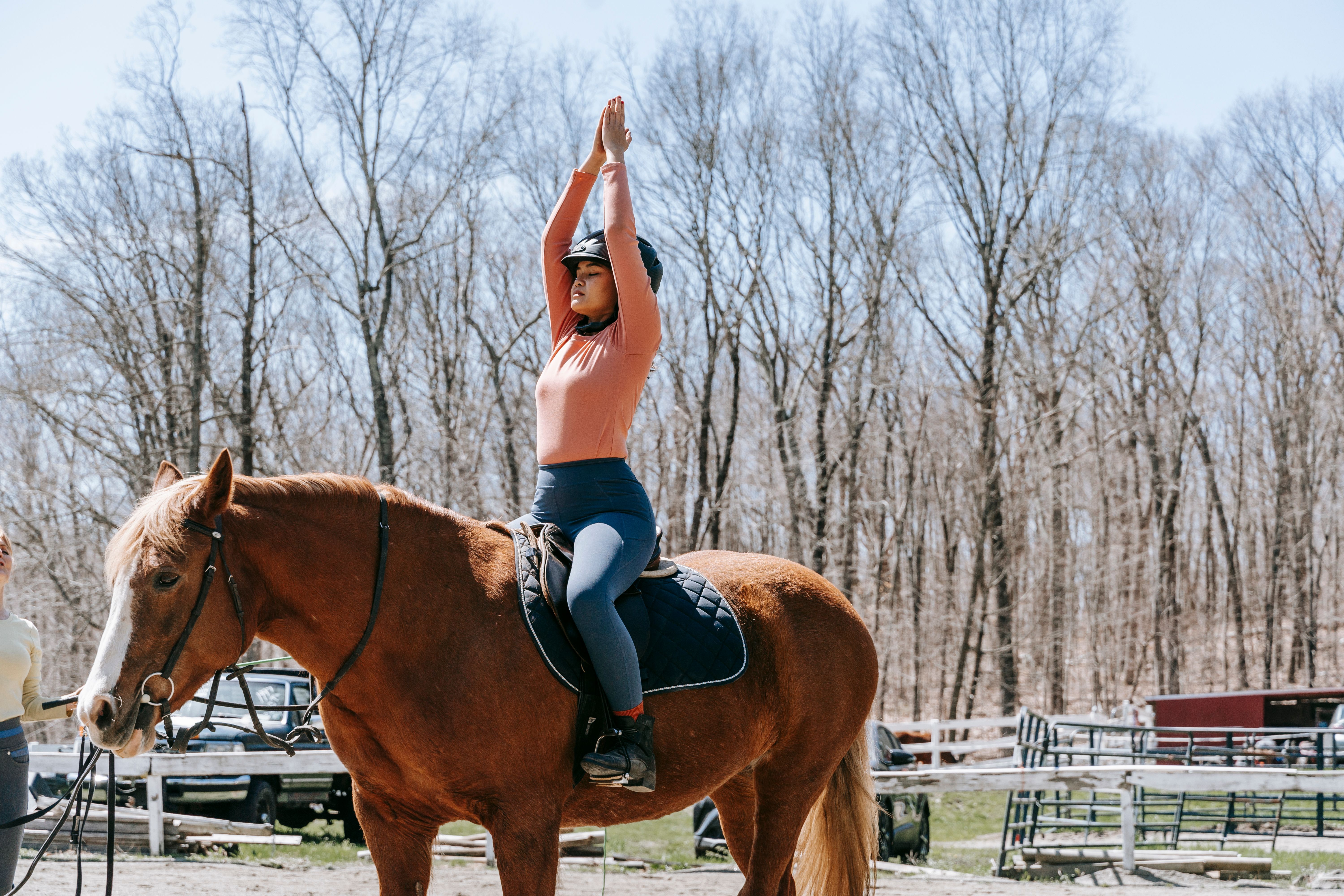 Woman on Horse · Free Stock Photo