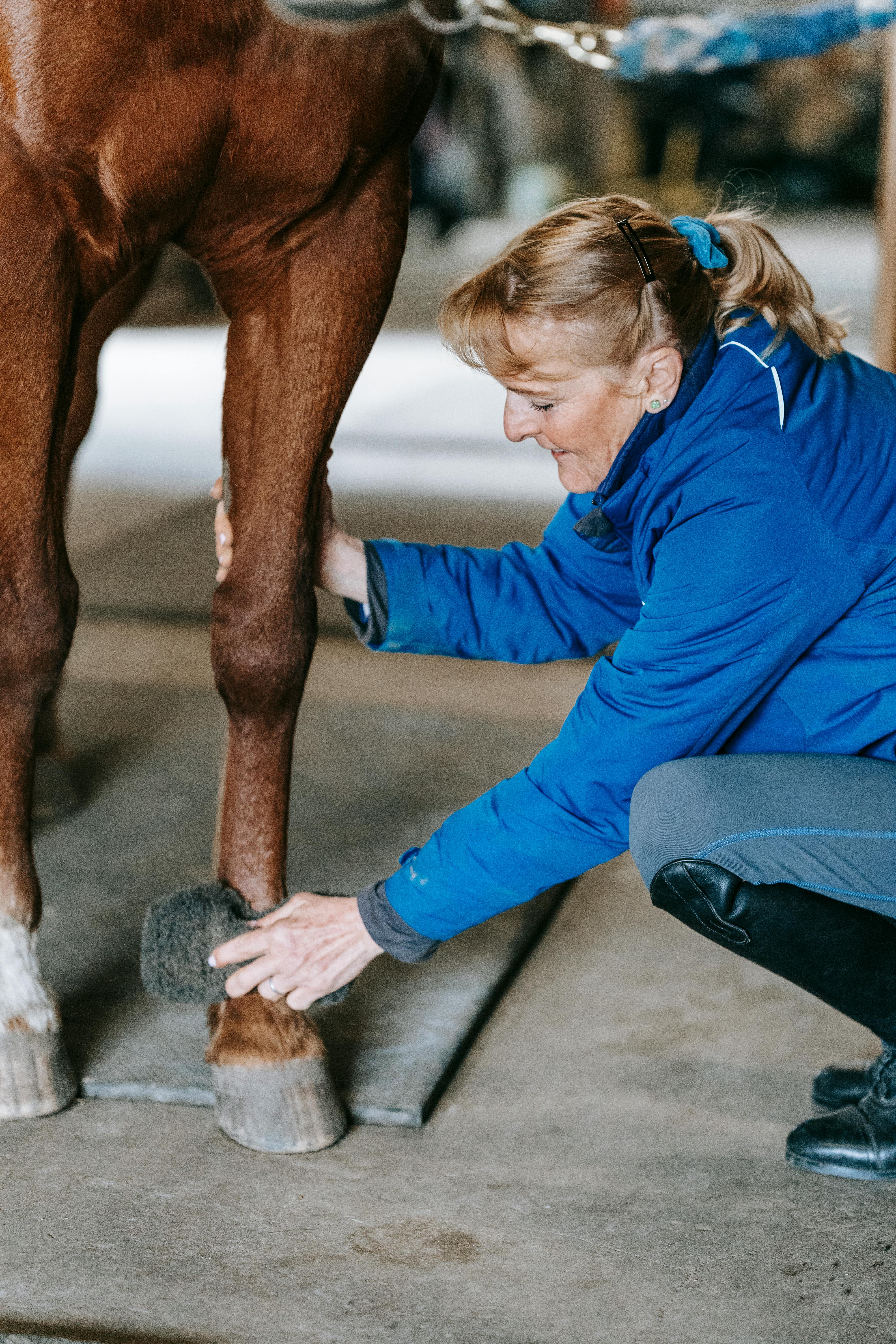 Horse Hoof Photos, Download The BEST Free Horse Hoof Stock Photos & HD ...