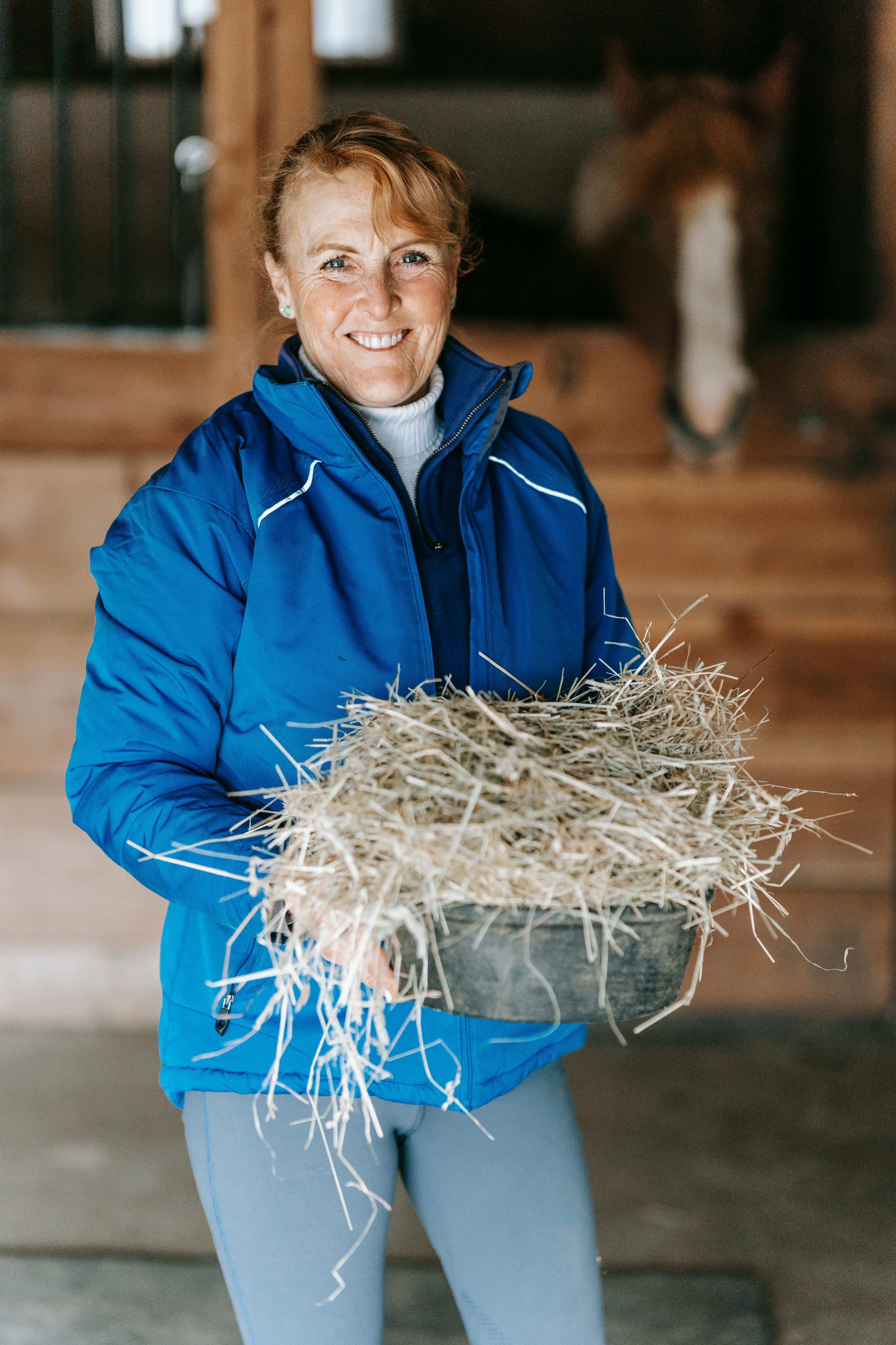 Hay Bucket Photos, Download The BEST Free Hay Bucket Stock Photos & HD ...