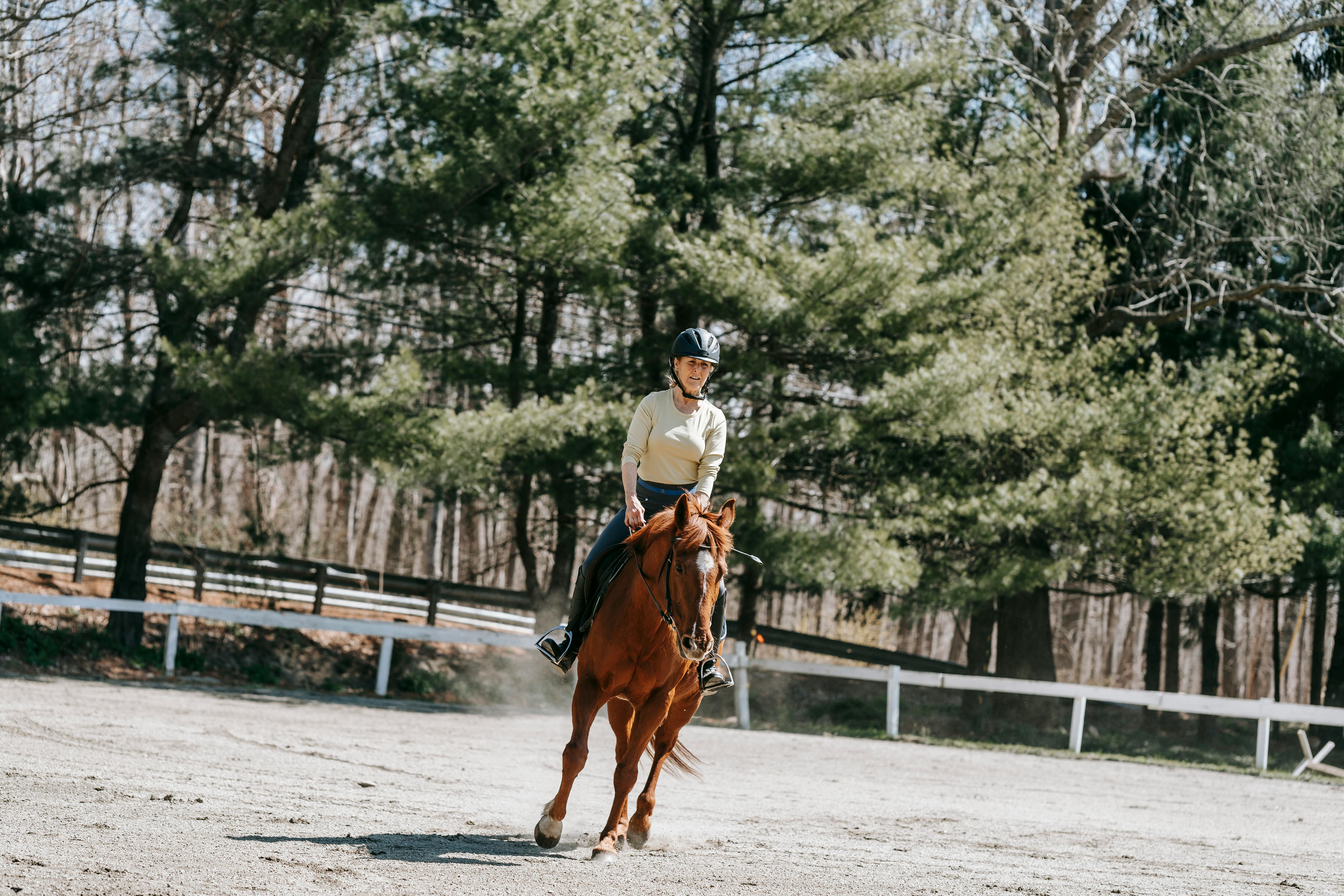 Girl Learning Horseback Riding · Free Stock Photo