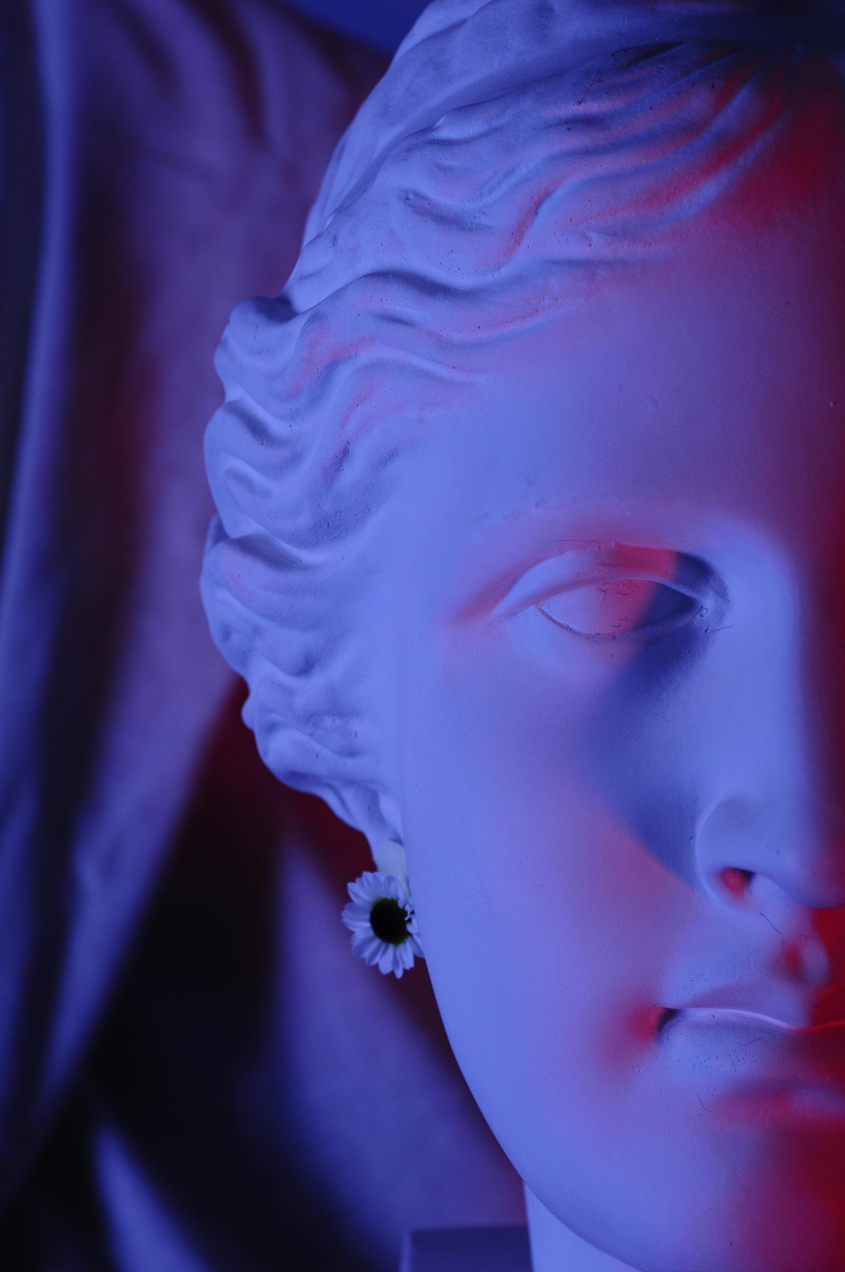 White Head Bust in Museum · Free Stock Photo