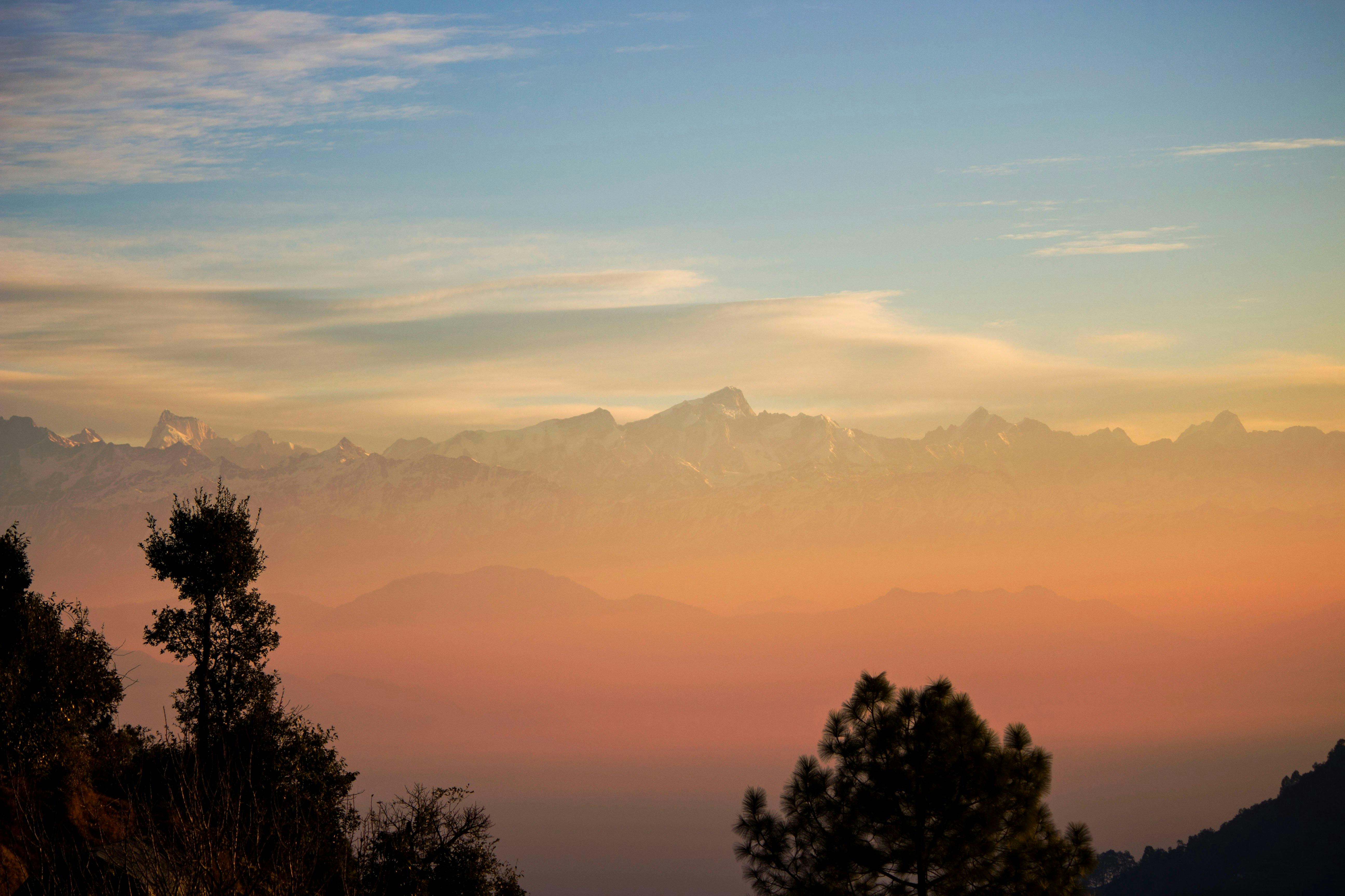 Claire Gowling - 사진