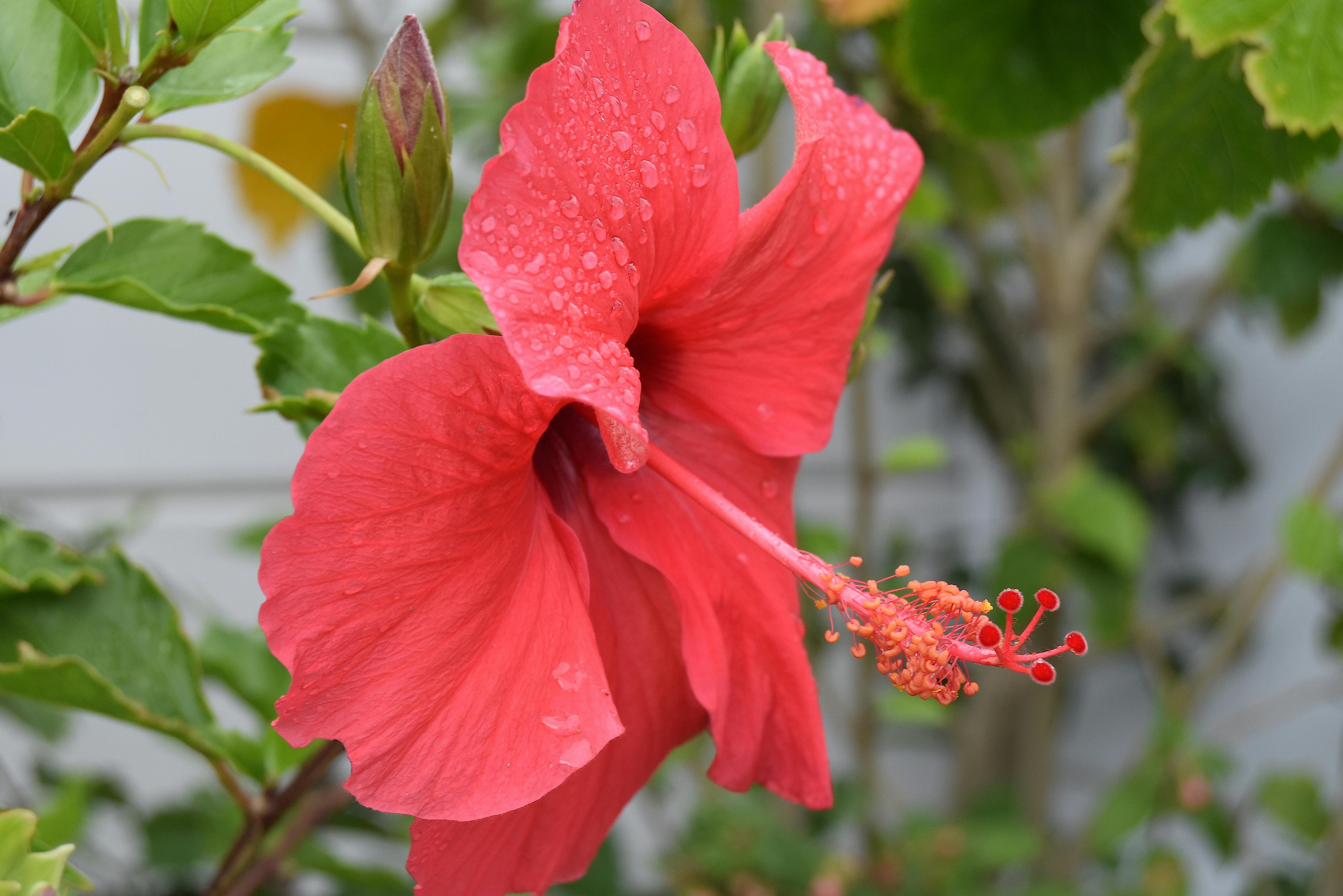 Photo gratuite de doigt de dieu, effondrement avant 1988, mukurob