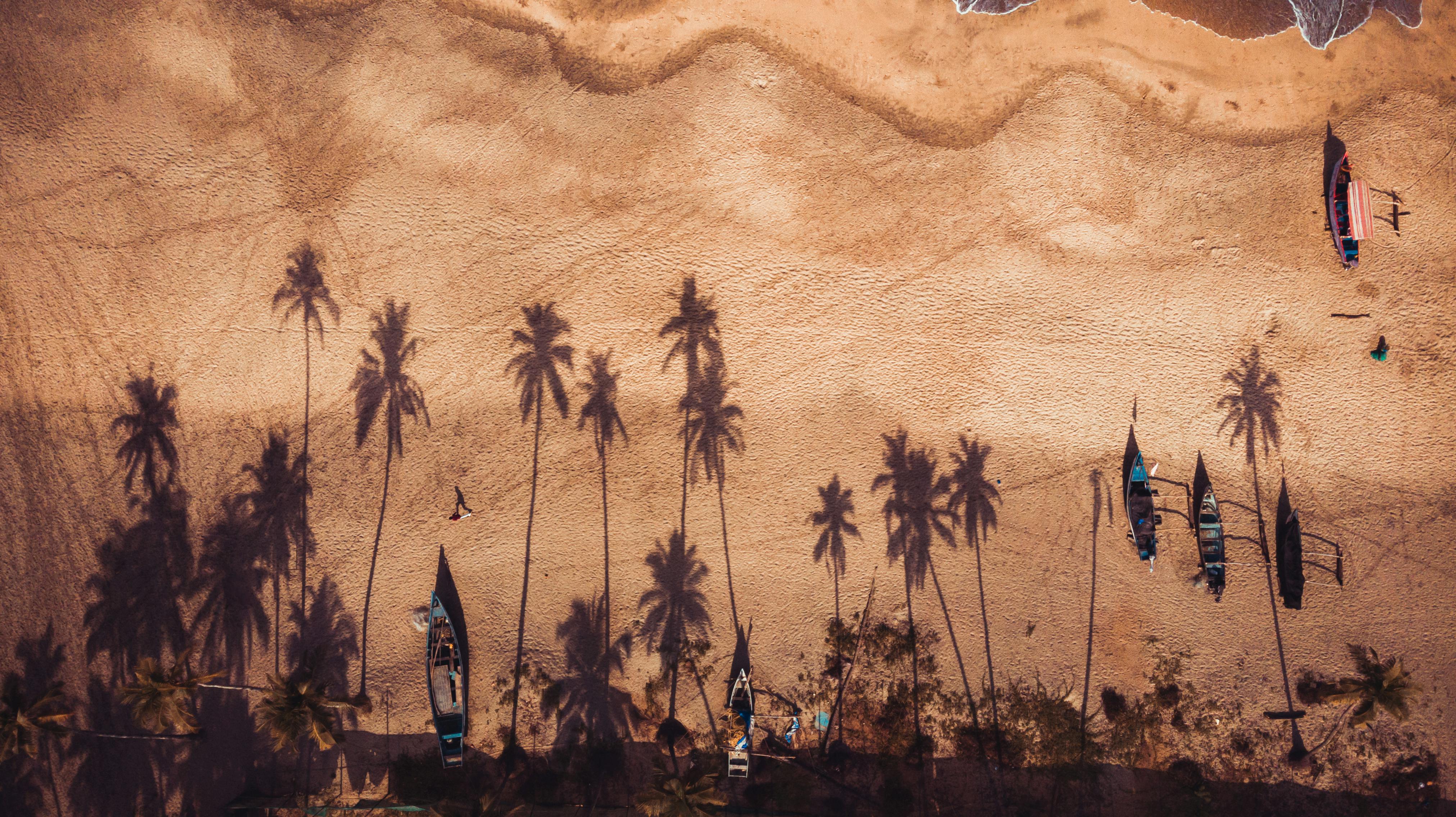 Boast Photos, Download The BEST Free Boast Stock Photos & HD Images